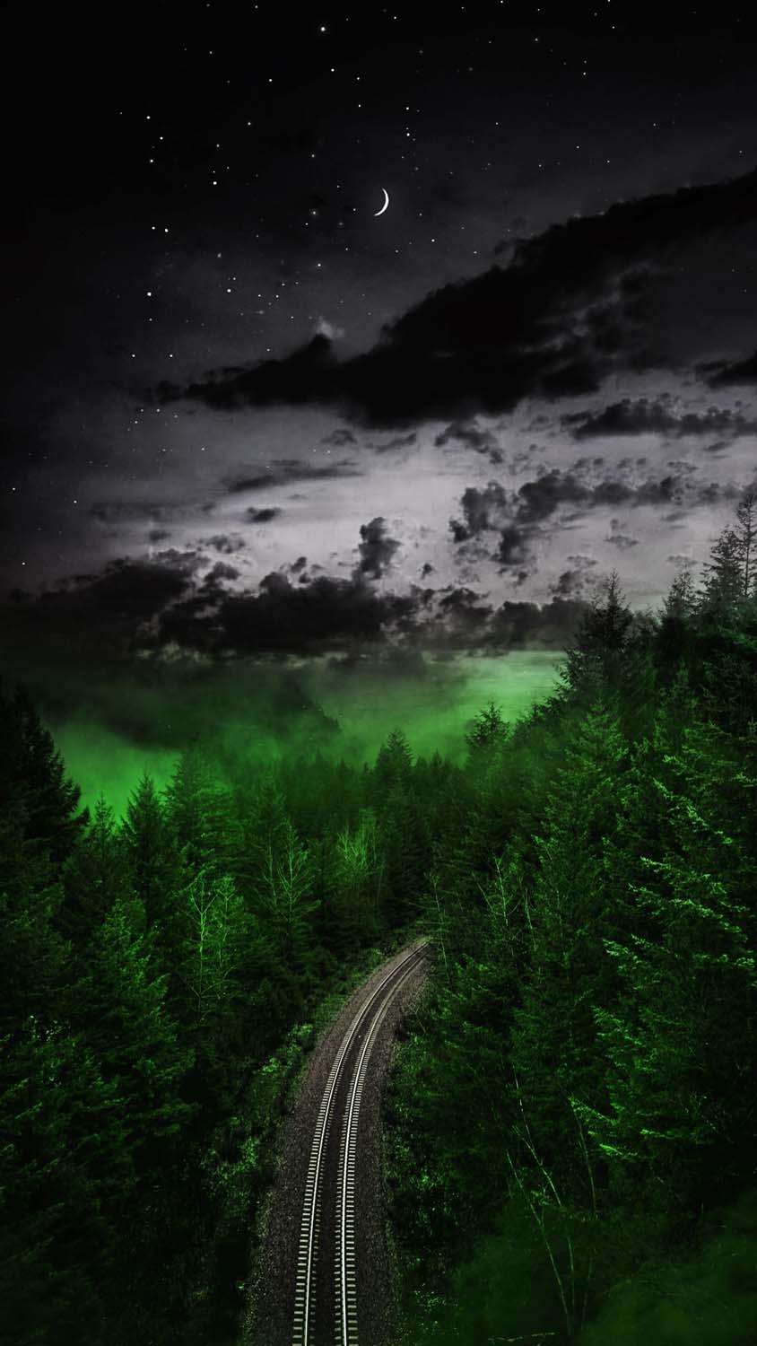 Night Green Forest Wallpapers - Top Free Night Green Forest Backgrounds ...