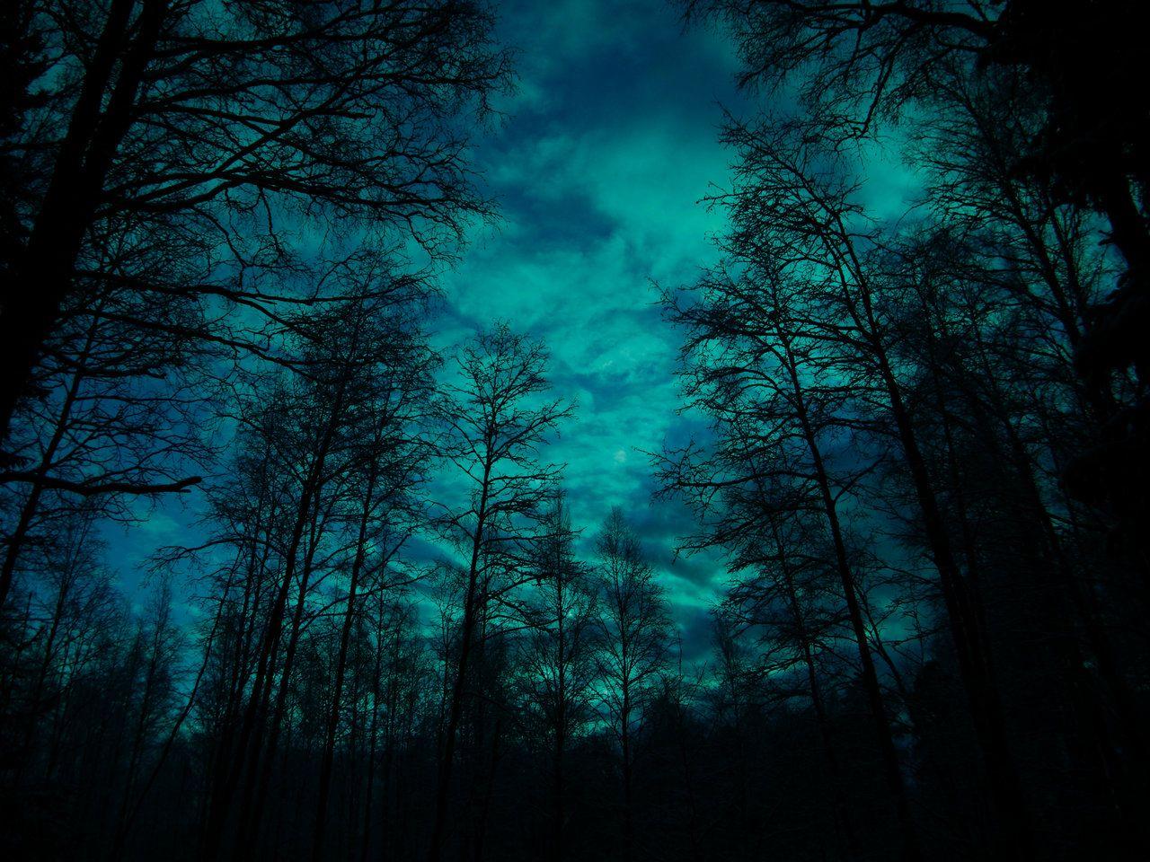 Night Green Forest Wallpapers - Top Free Night Green Forest Backgrounds ...