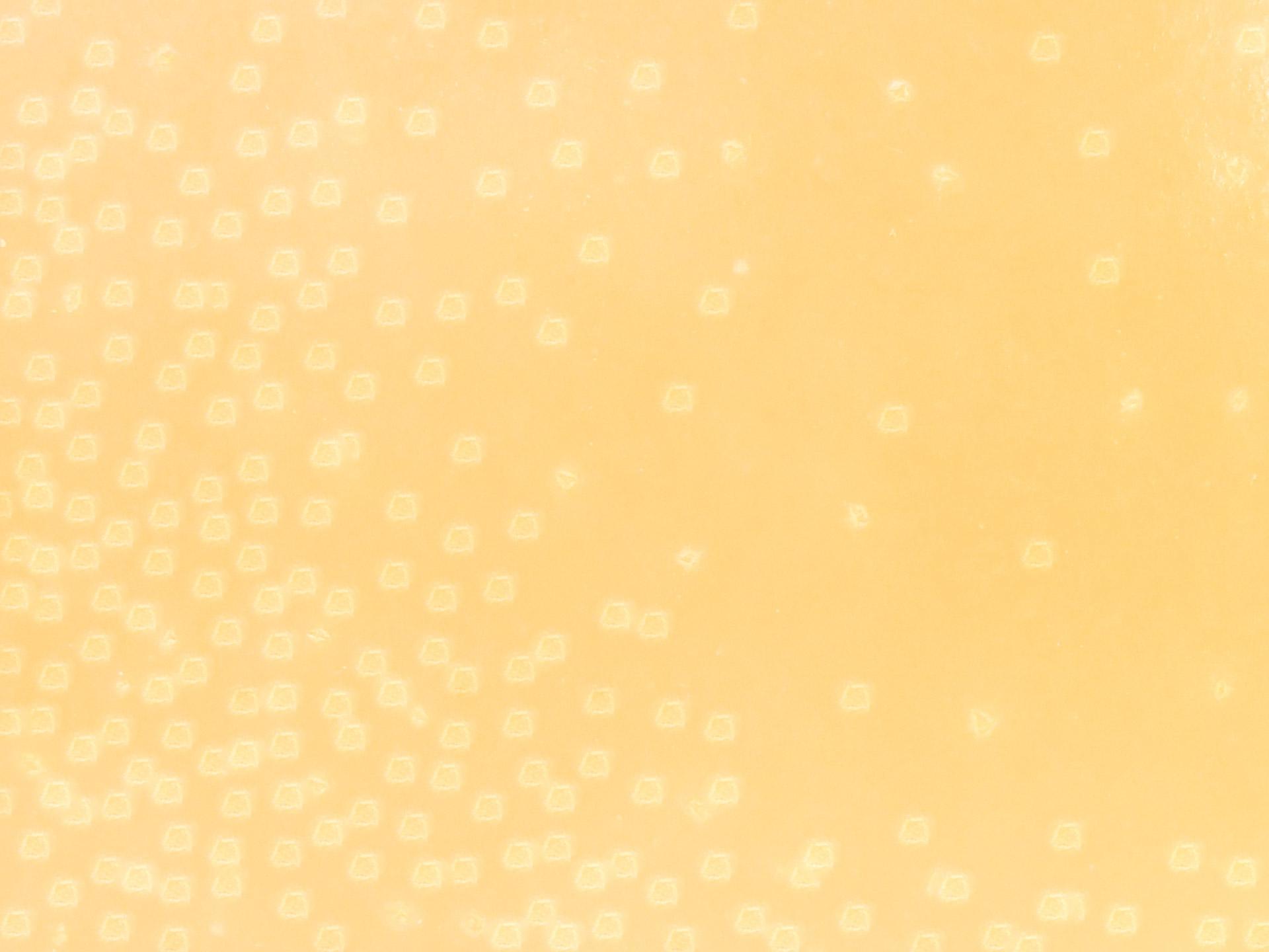 Peach Abstract Wallpapers - Top Free Peach Abstract Backgrounds ...