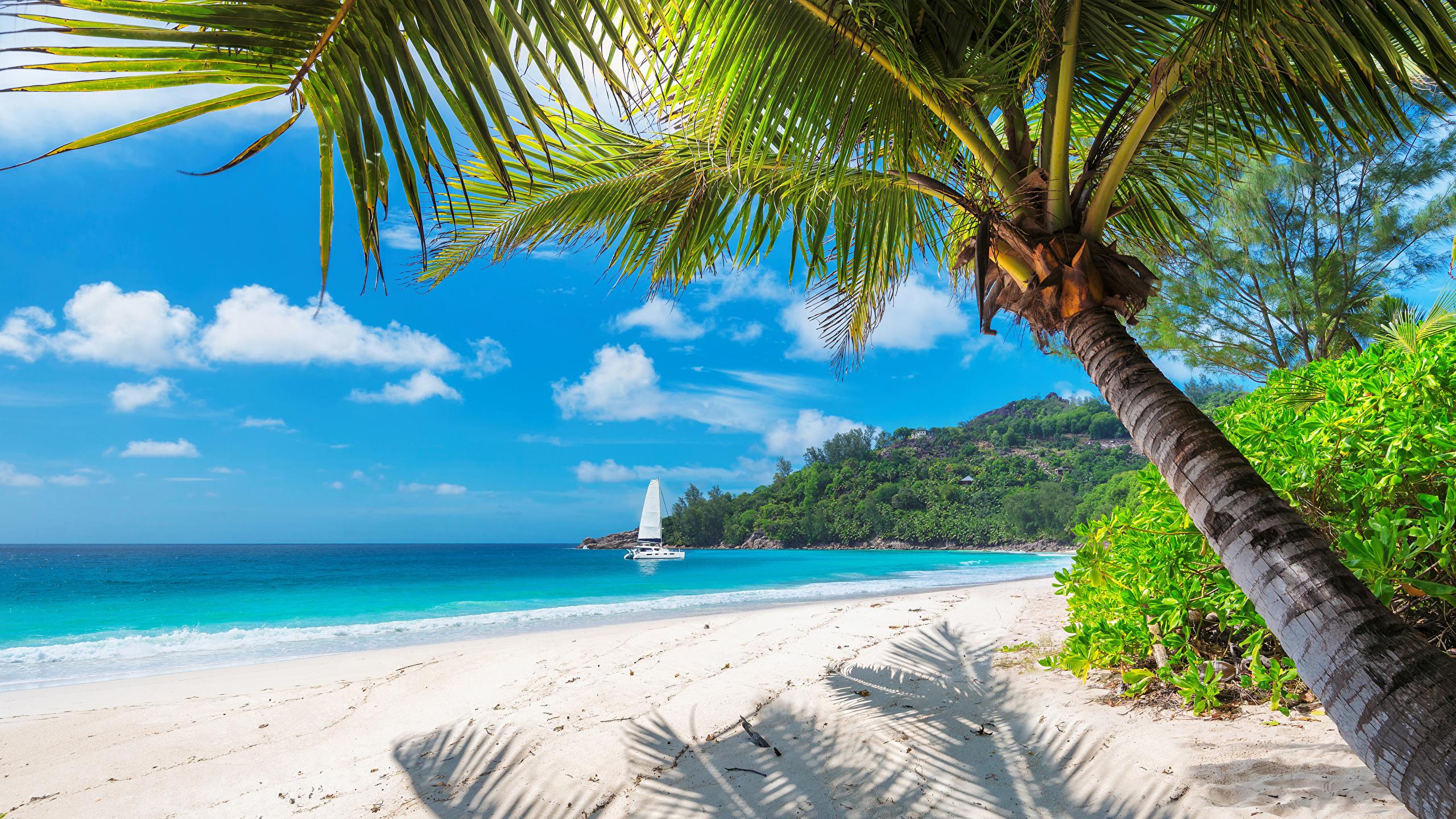 Beach 2560X1440 Wallpapers - Top Free Beach 2560X1440 Backgrounds ...