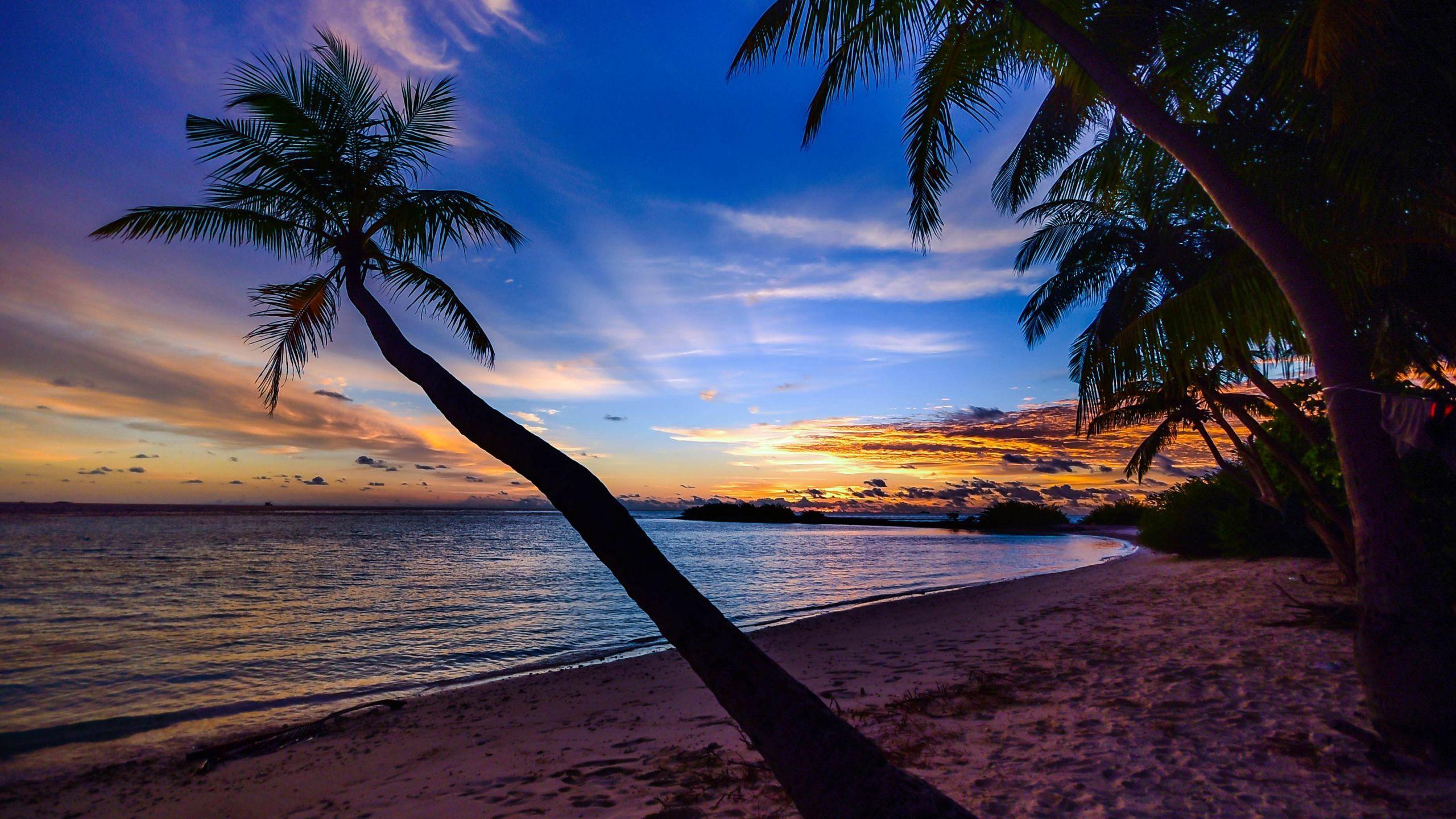 Beach 2560X1440 Wallpapers - Top Free Beach 2560X1440 Backgrounds ...
