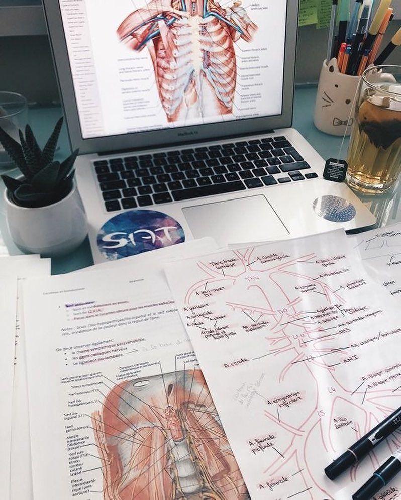 Medical Study Wallpapers - Top Free Medical Study Backgrounds ...