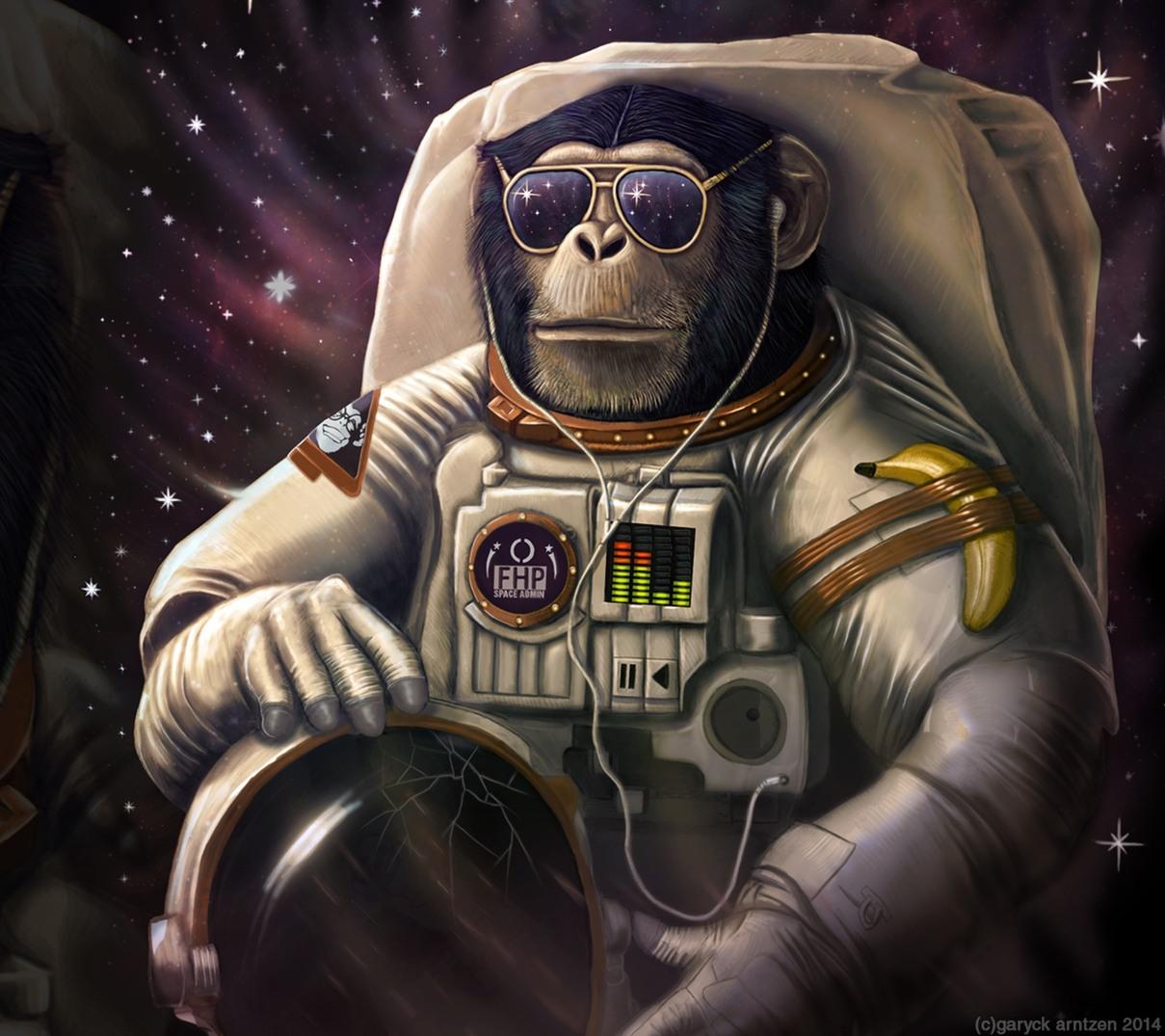 Monkey Meme Wallpapers - Top Free Monkey Meme Backgrounds - WallpaperAccess