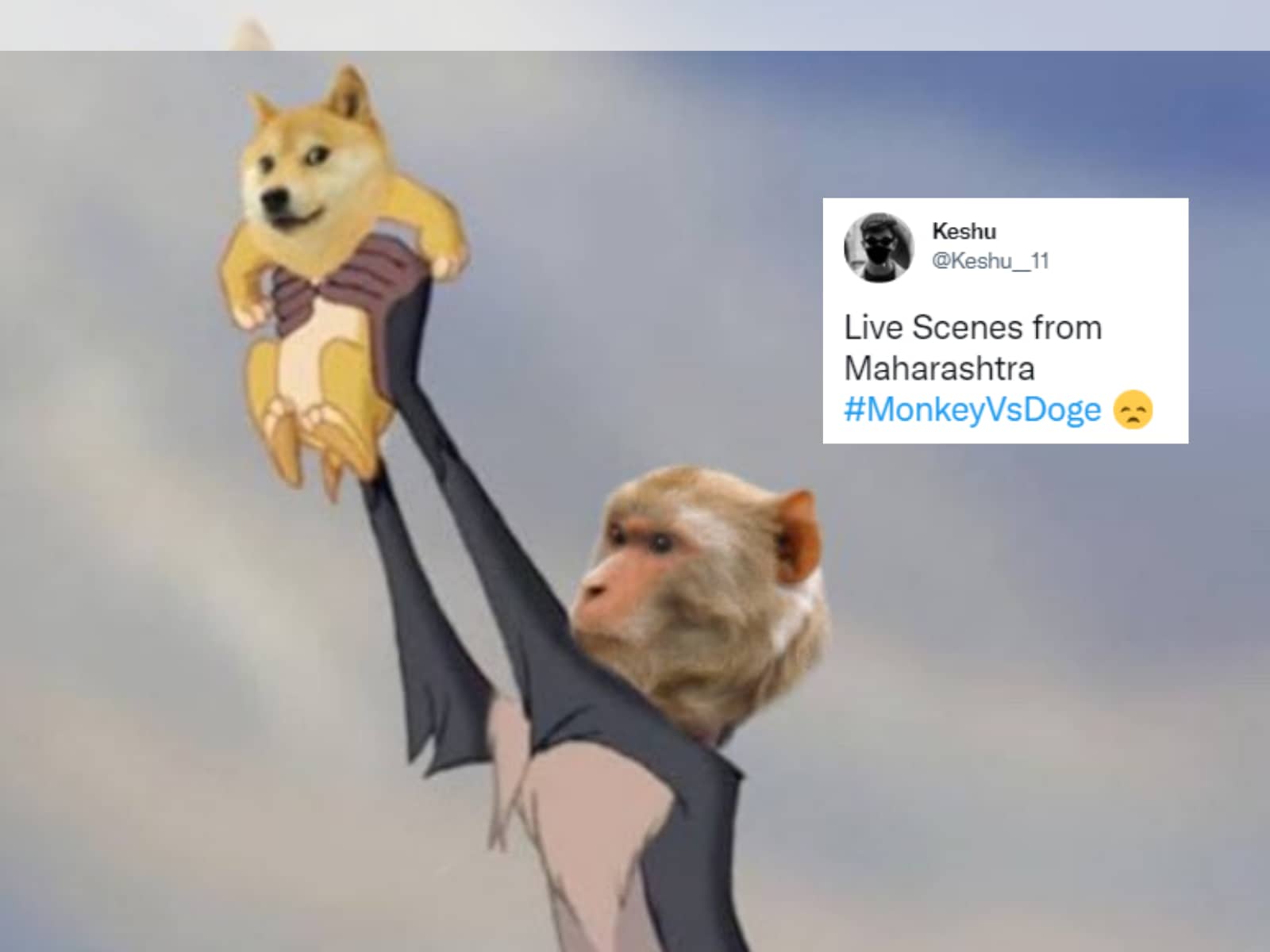 Monkey Meme Wallpapers - Top Free Monkey Meme Backgrounds - WallpaperAccess