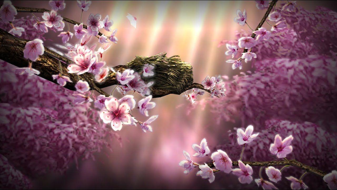 HD Purple Zen Wallpapers - Top Free HD Purple Zen Backgrounds ...
