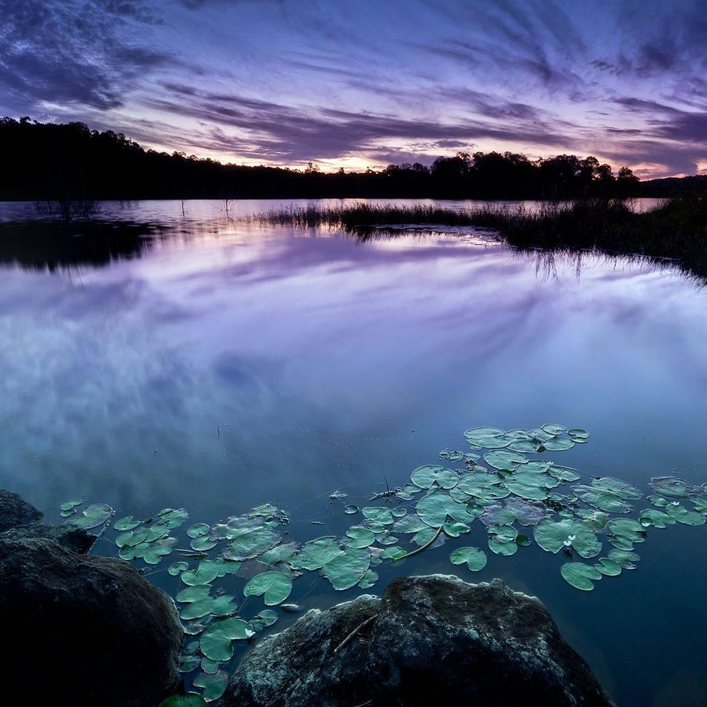 HD Purple Zen Wallpapers - Top Free HD Purple Zen Backgrounds ...