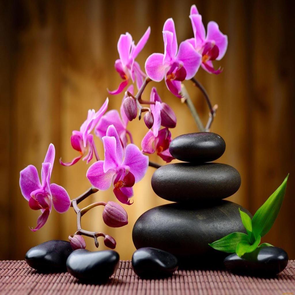 HD Purple Zen Wallpapers - Top Free HD Purple Zen Backgrounds ...