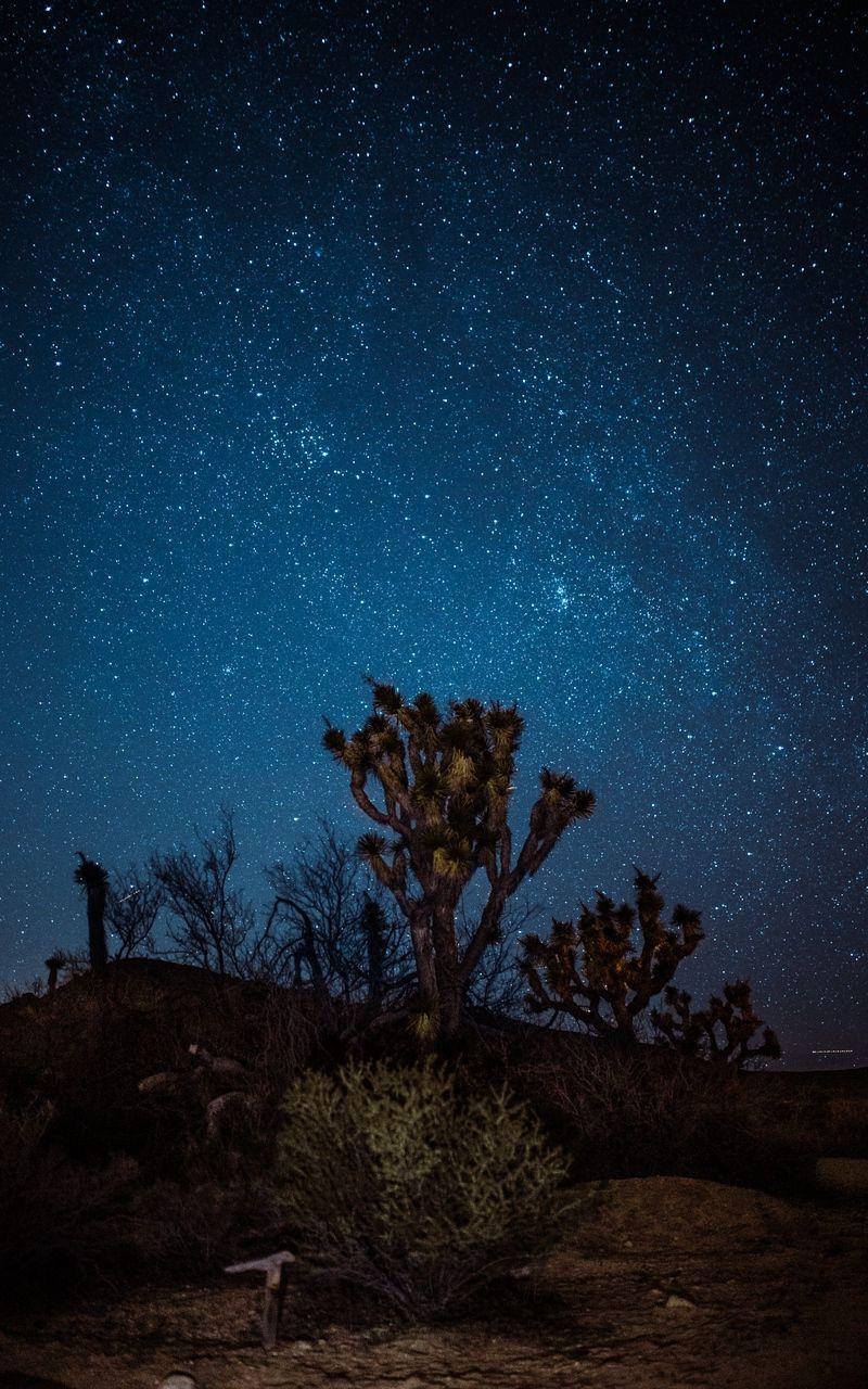 Desert Galaxy Wallpapers - Top Free Desert Galaxy Backgrounds ...
