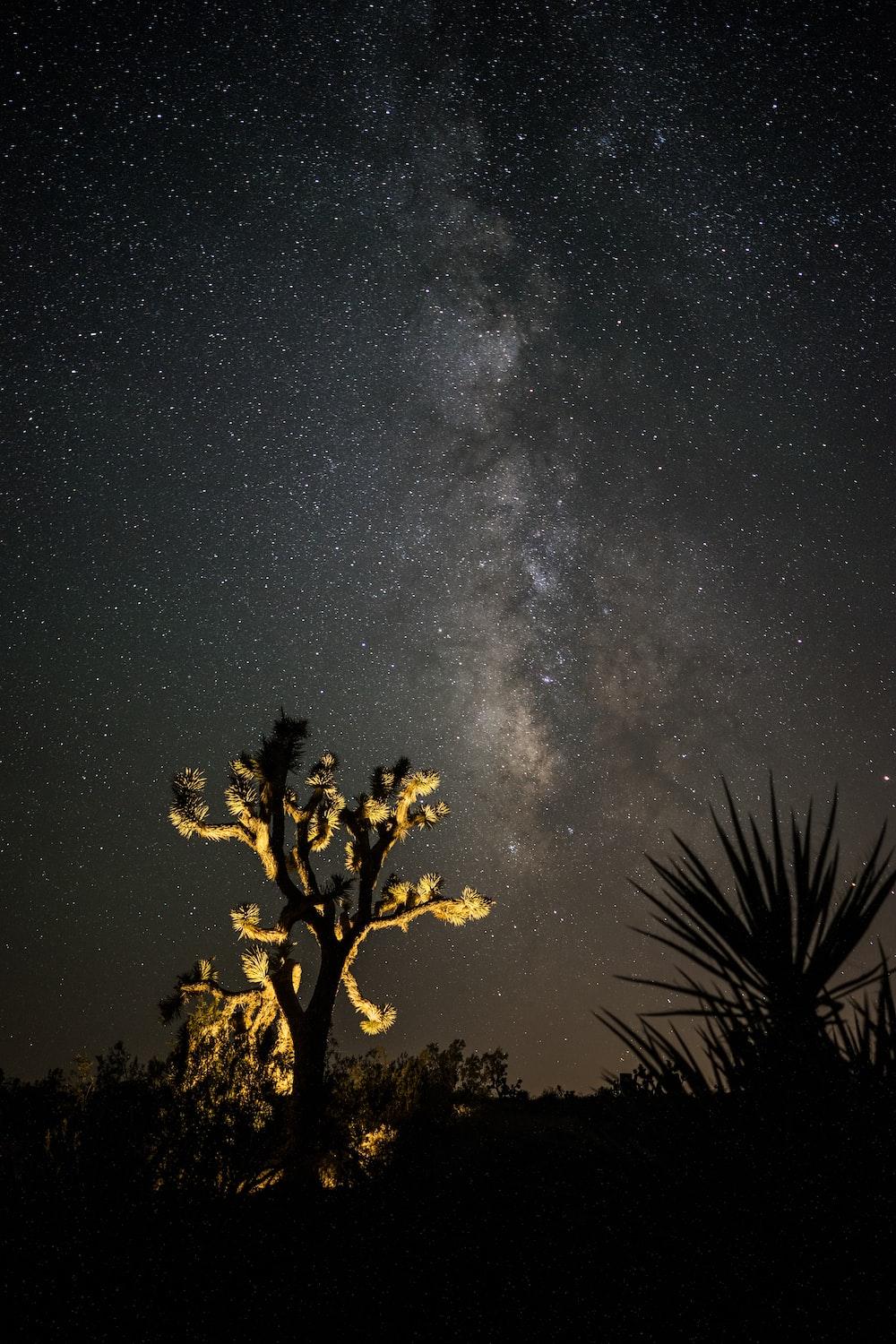 Desert Galaxy Wallpapers - Top Free Desert Galaxy Backgrounds ...