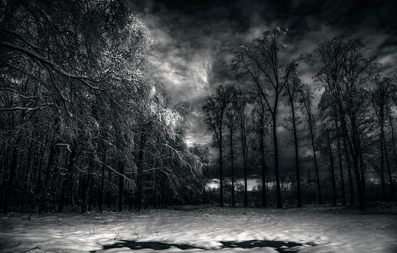 Black Forest Winter Wallpapers - Top Free Black Forest Winter ...