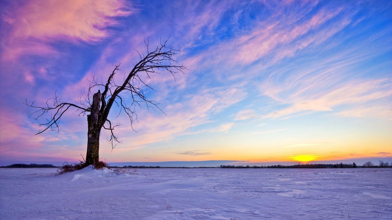 HD Aesthetic Wallpapers - Top Free HD Aesthetic Backgrounds ...