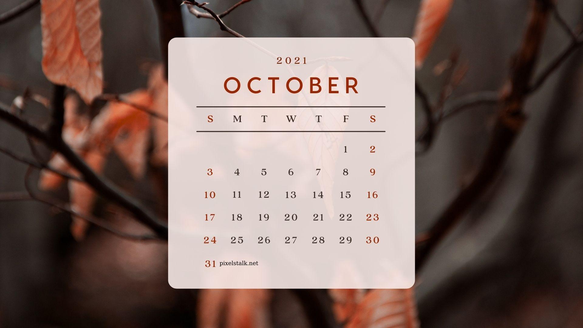 October Birthday Wallpapers - Top Free October Birthday Backgrounds ...