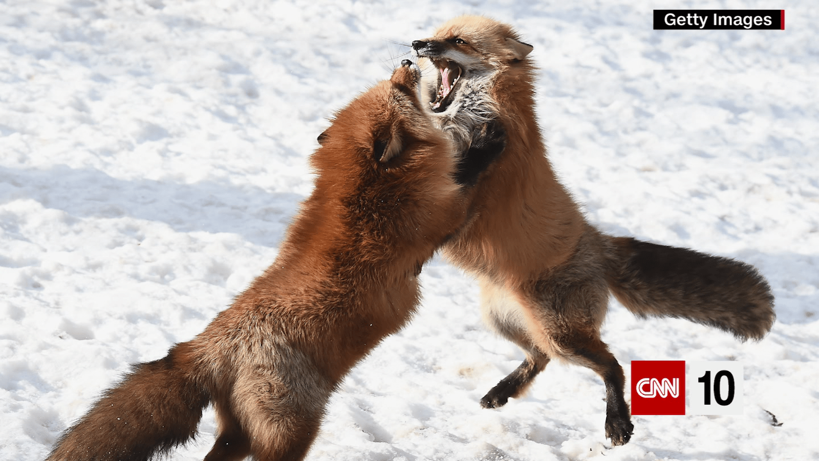 CNN 10 Wallpapers - Top Free CNN 10 Backgrounds - WallpaperAccess