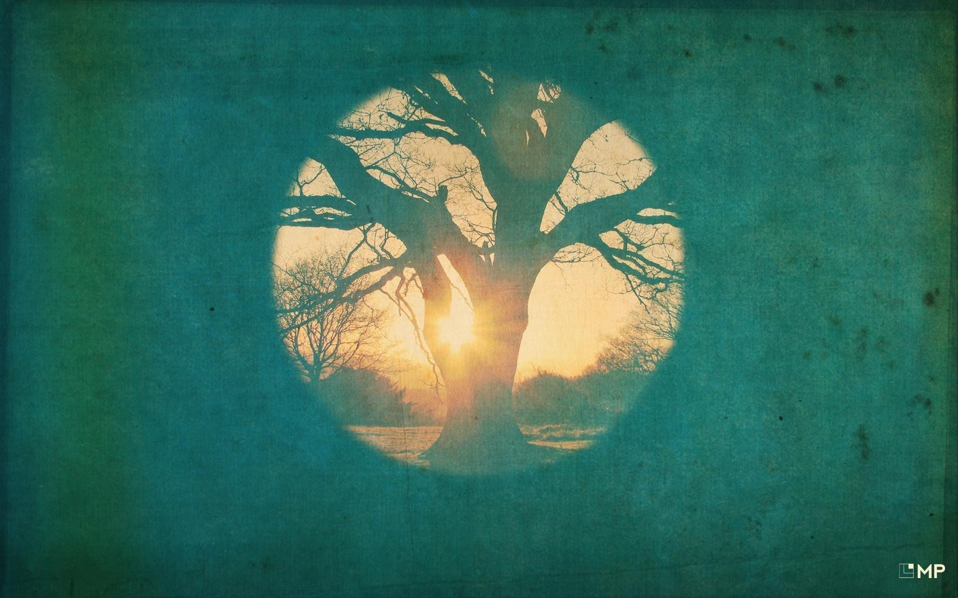 Blue Abstract Tree HD Wallpapers - Top Free Blue Abstract Tree HD ...