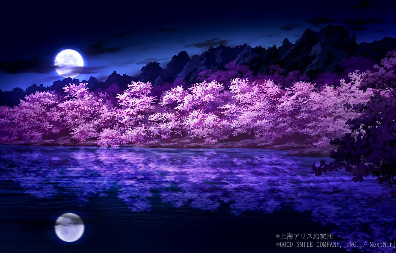 Sakura Night Wallpapers - Top Free Sakura Night Backgrounds ...