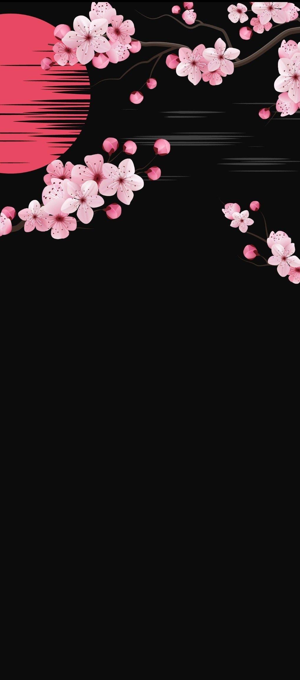 Black Sakura Wallpapers - Top Free Black Sakura Backgrounds - WallpaperAccess