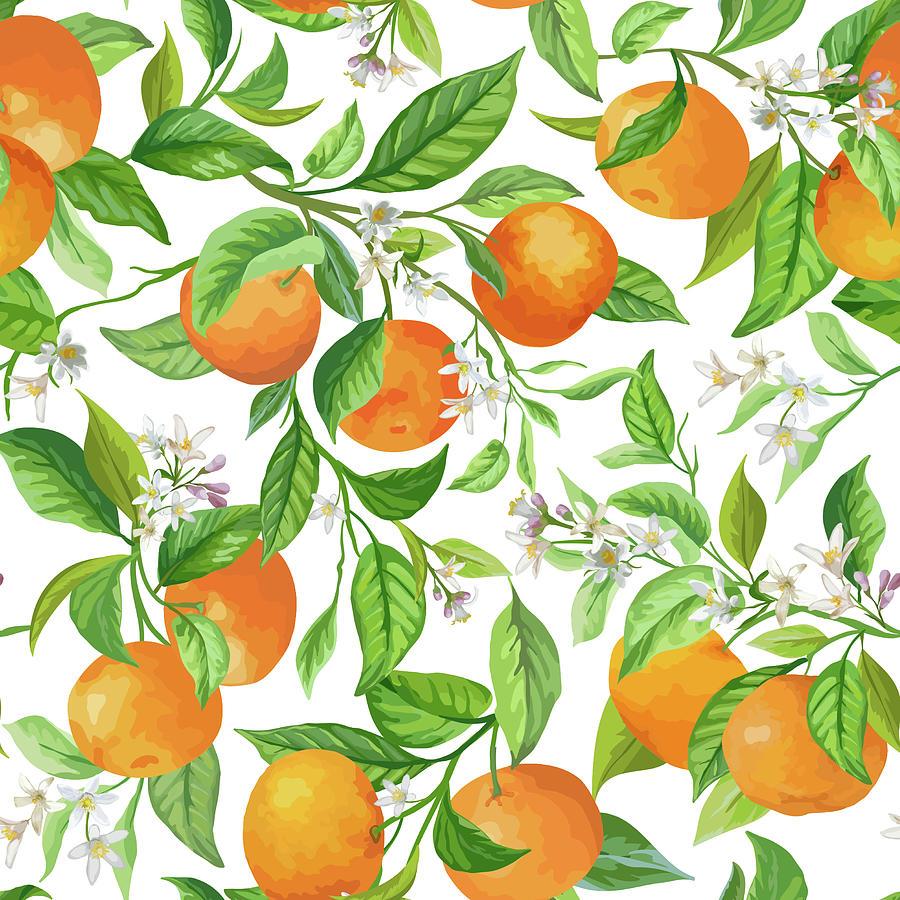 Citrus Fruit Wallpapers - Top Free Citrus Fruit Backgrounds ...