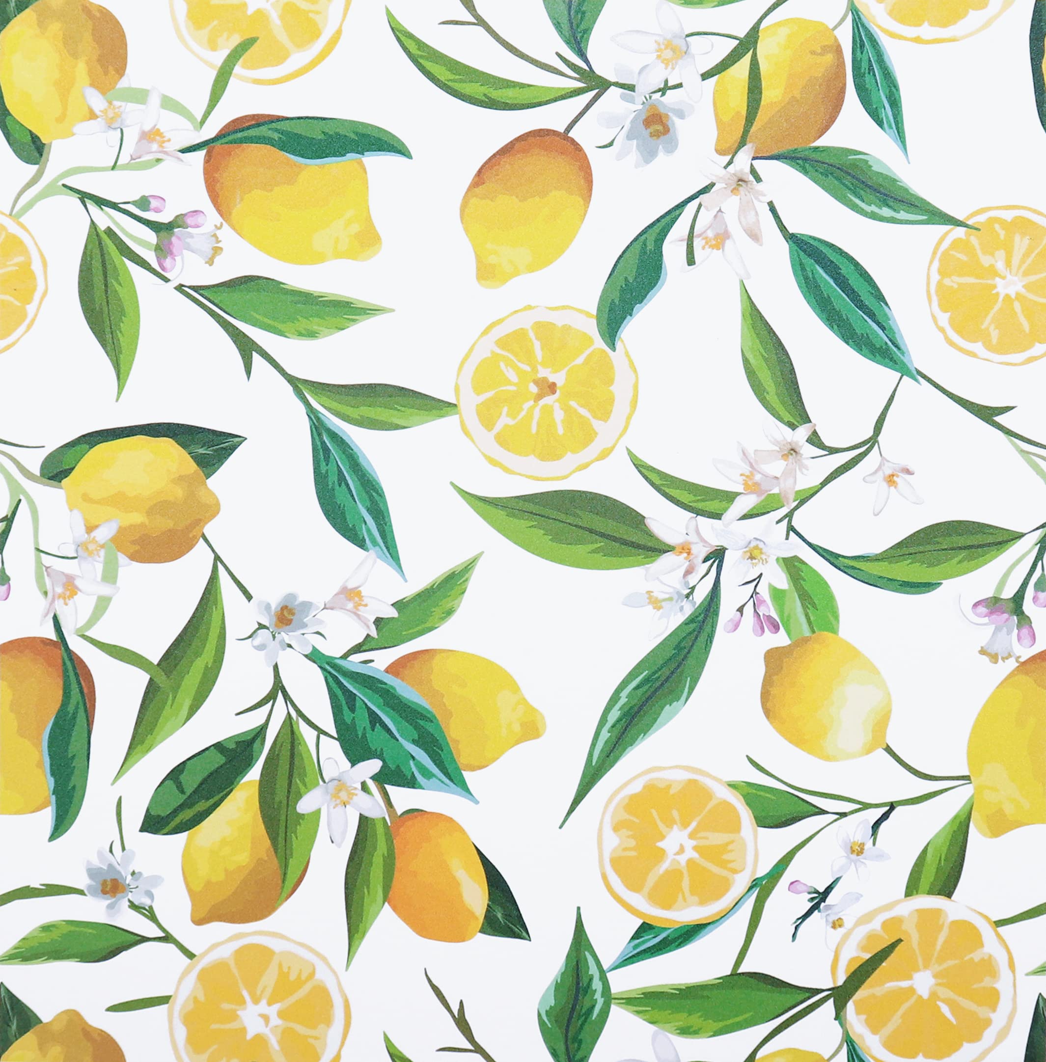 Lemon Art Wallpapers - Top Free Lemon Art Backgrounds - WallpaperAccess
