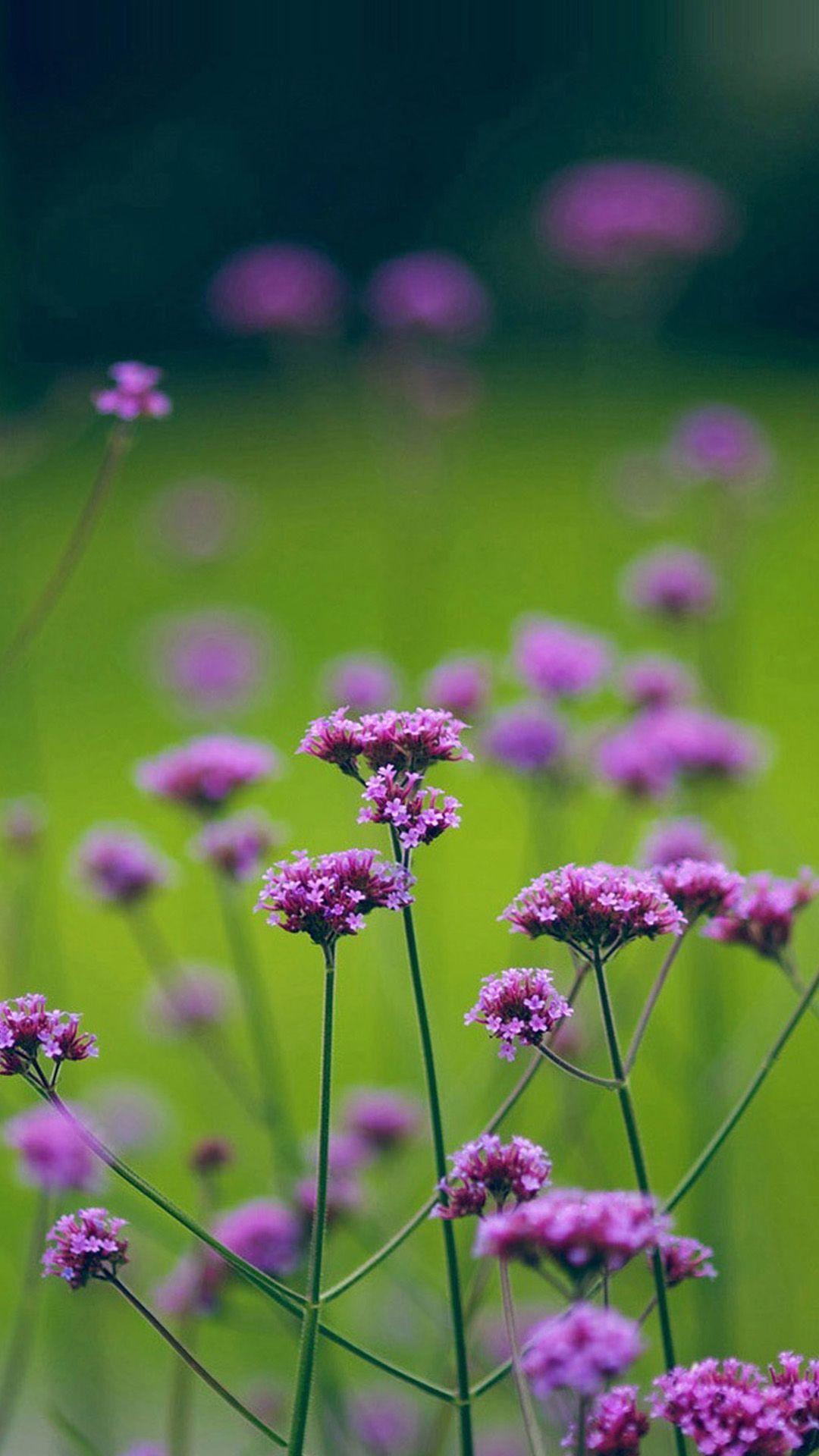 Sony Mobile HD Wallpapers - Top Free Sony Mobile HD Backgrounds ...