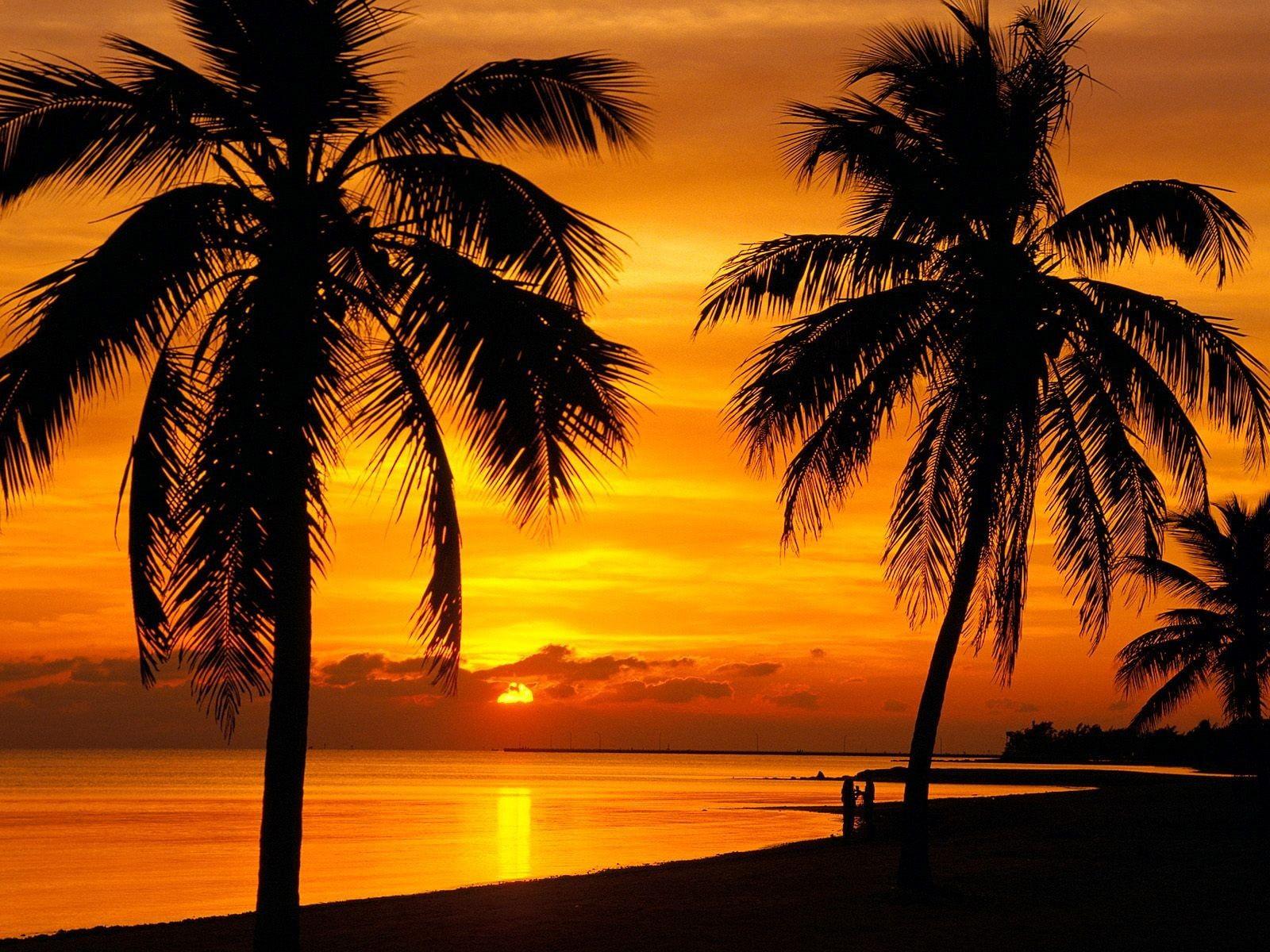 Key West Sunset Wallpapers - Top Free Key West Sunset Backgrounds ...
