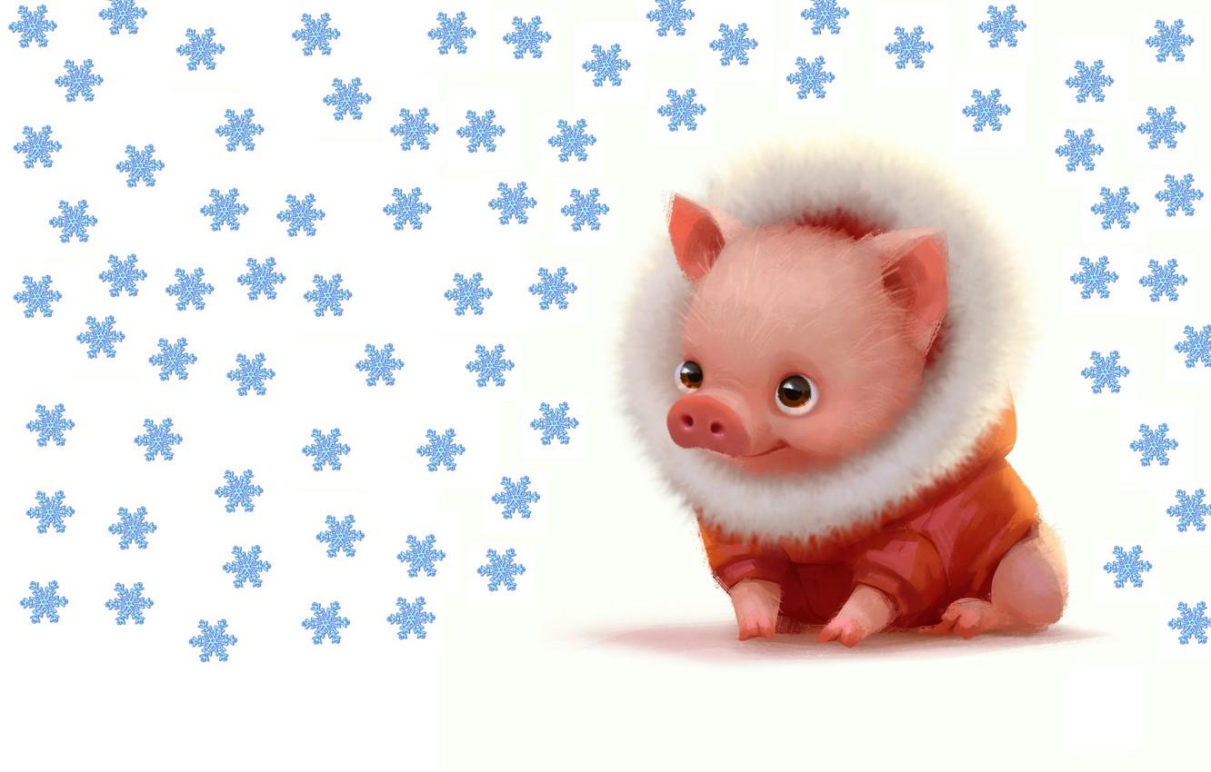 Christmas Pig Wallpapers - Top Free Christmas Pig Backgrounds ...