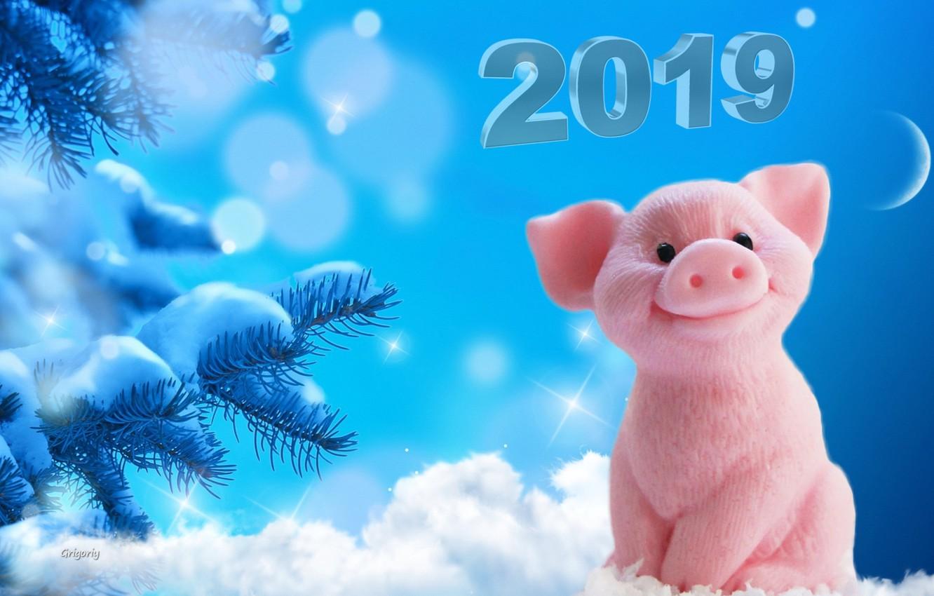 Christmas Pig Wallpapers - Top Free Christmas Pig Backgrounds ...