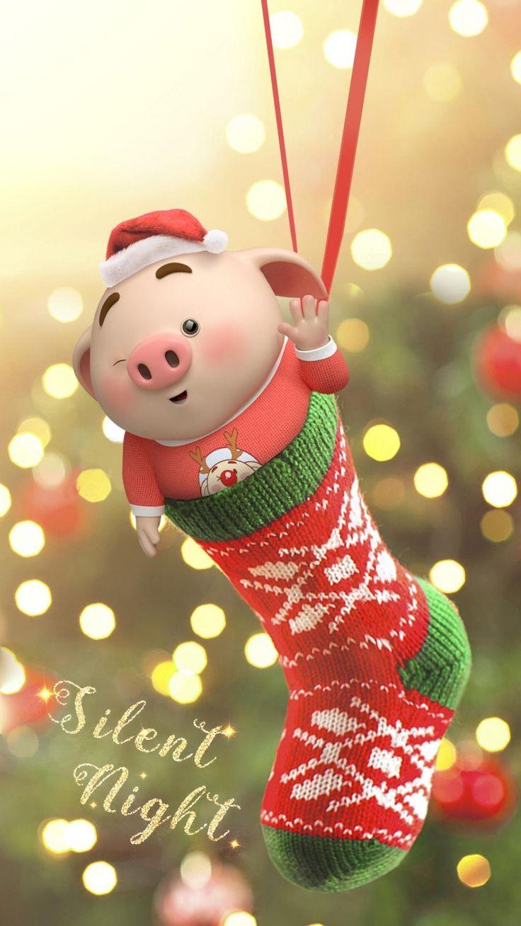 Christmas Pig Wallpapers - Top Free Christmas Pig Backgrounds ...