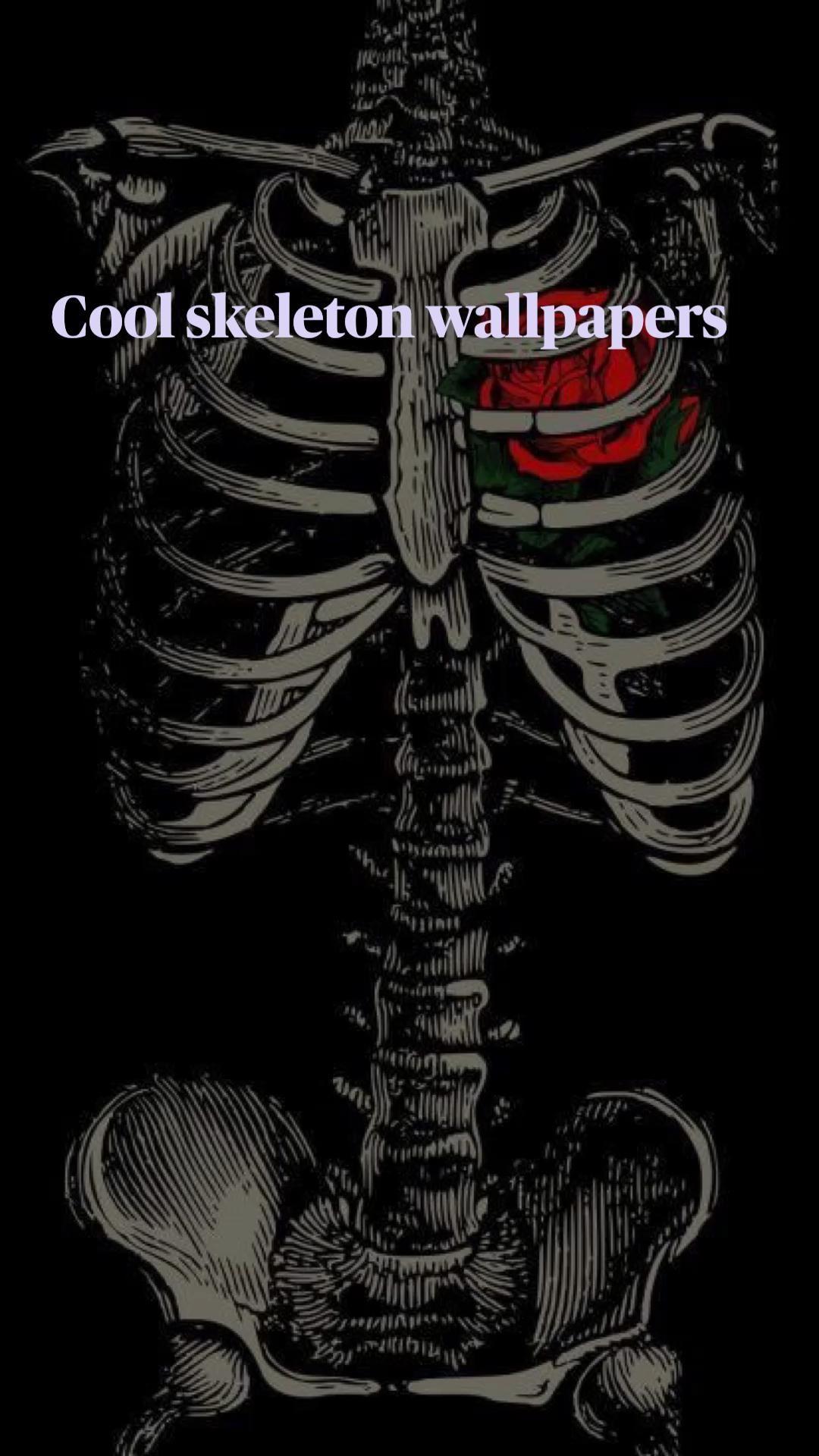 Awesome Skeleton Wallpapers - Top Free Awesome Skeleton Backgrounds ...