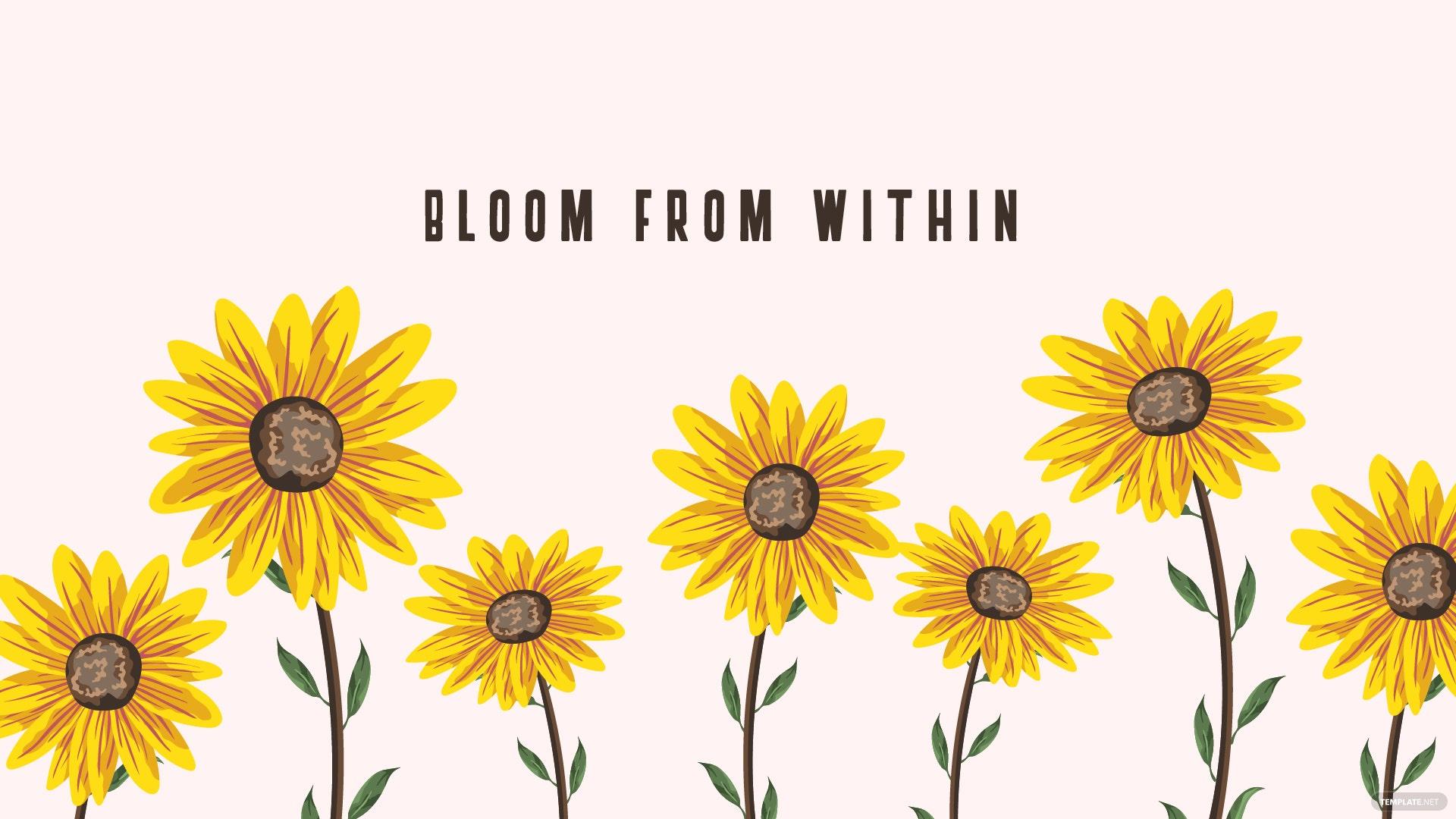 Single Sunflower Desktop Wallpapers - Top Free Single Sunflower Desktop ...