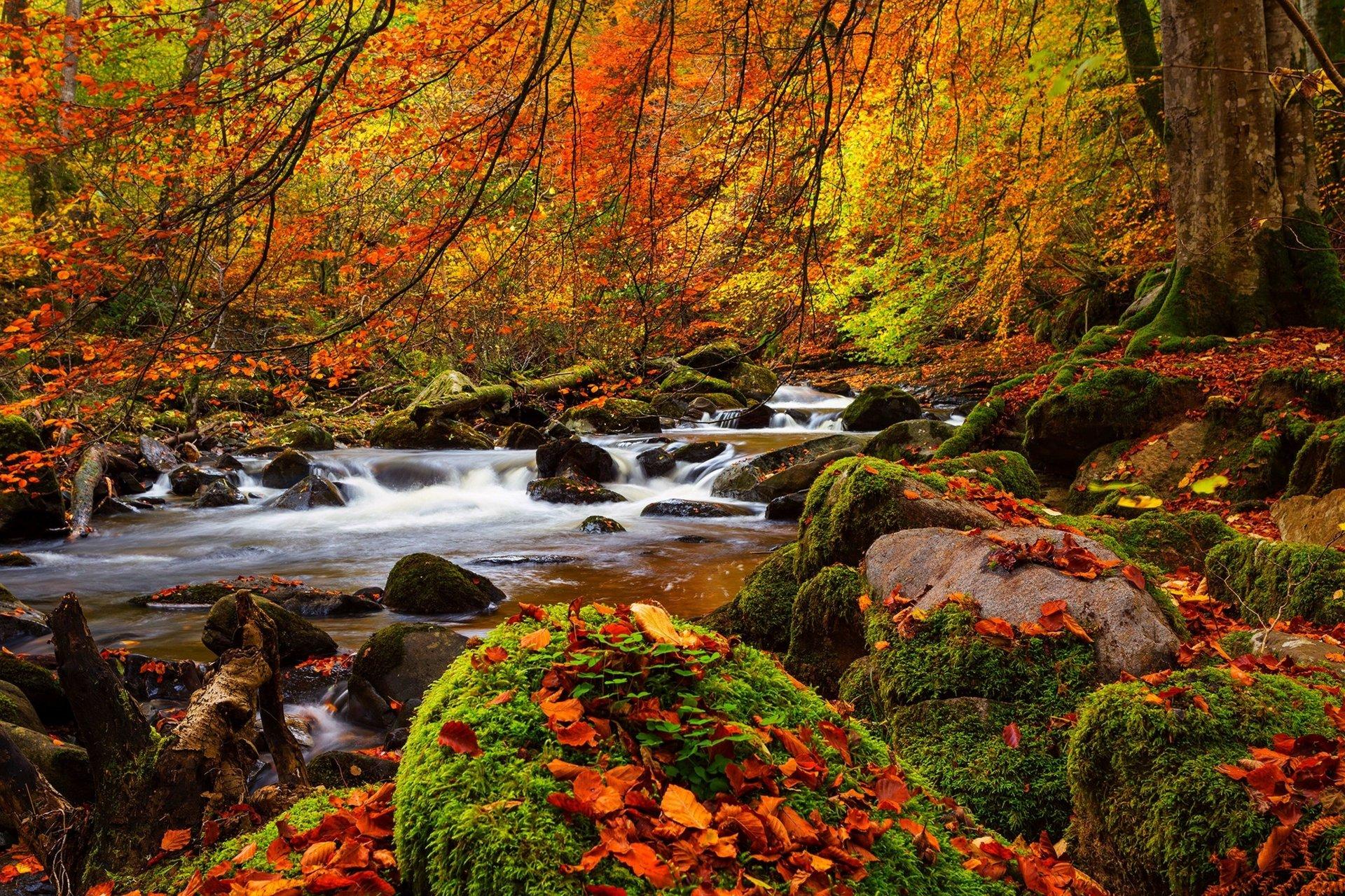Autumn Stream Wallpapers - Top Free Autumn Stream Backgrounds ...