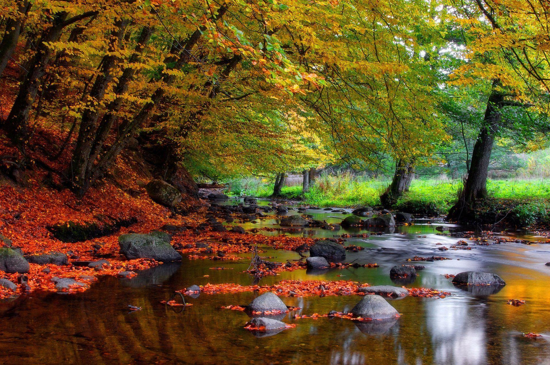 Autumn Stream Wallpapers - Top Free Autumn Stream Backgrounds ...