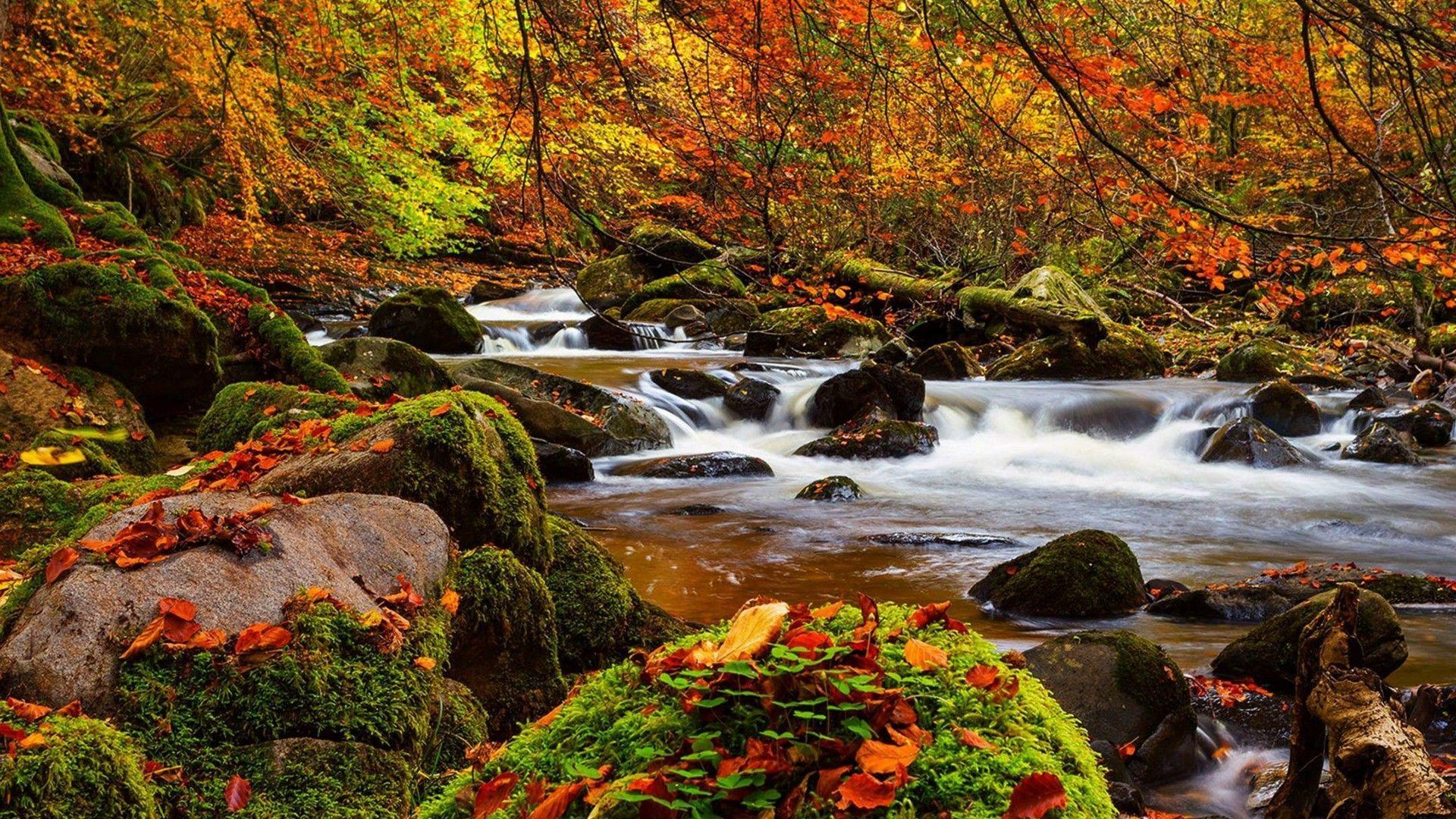 Spring Streams Wallpapers - Top Free Spring Streams Backgrounds ...