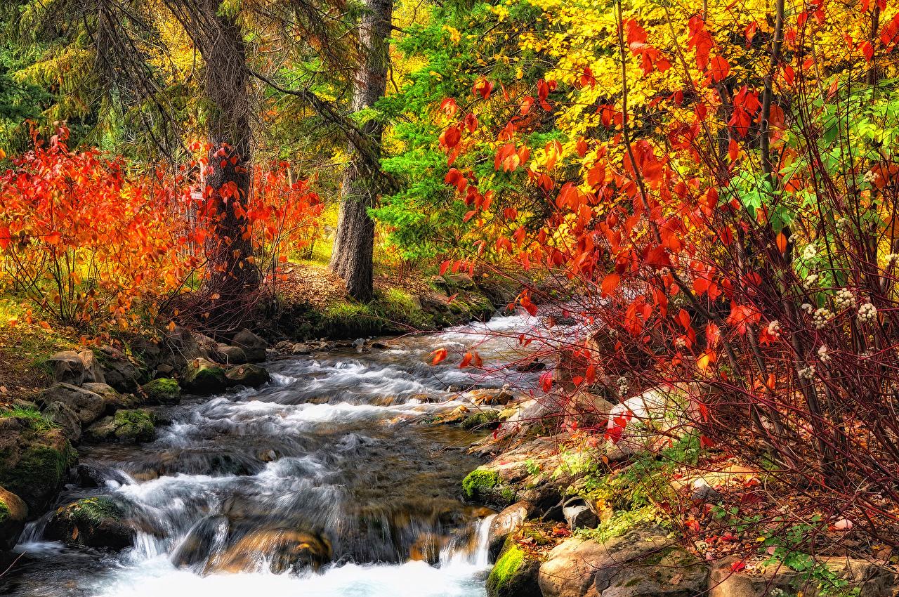 Autumn Stream Wallpapers - Top Free Autumn Stream Backgrounds ...