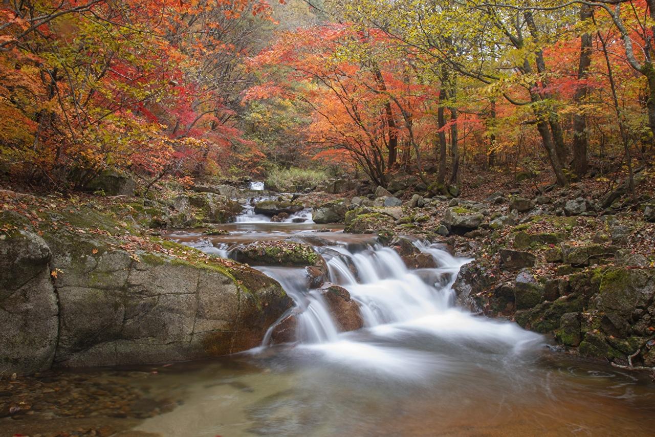 Autumn Stream Wallpapers - Top Free Autumn Stream Backgrounds ...