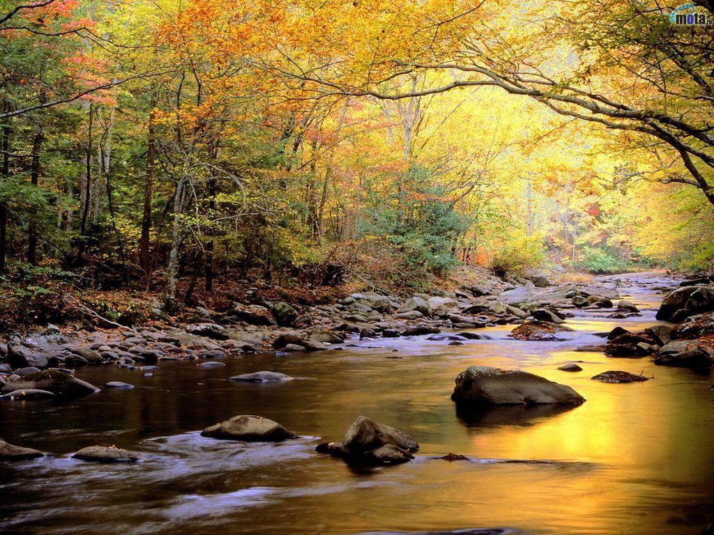 Autumn Stream Wallpapers - Top Free Autumn Stream Backgrounds ...