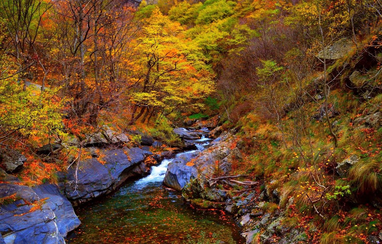 Autumn Stream Wallpapers - Top Free Autumn Stream Backgrounds ...