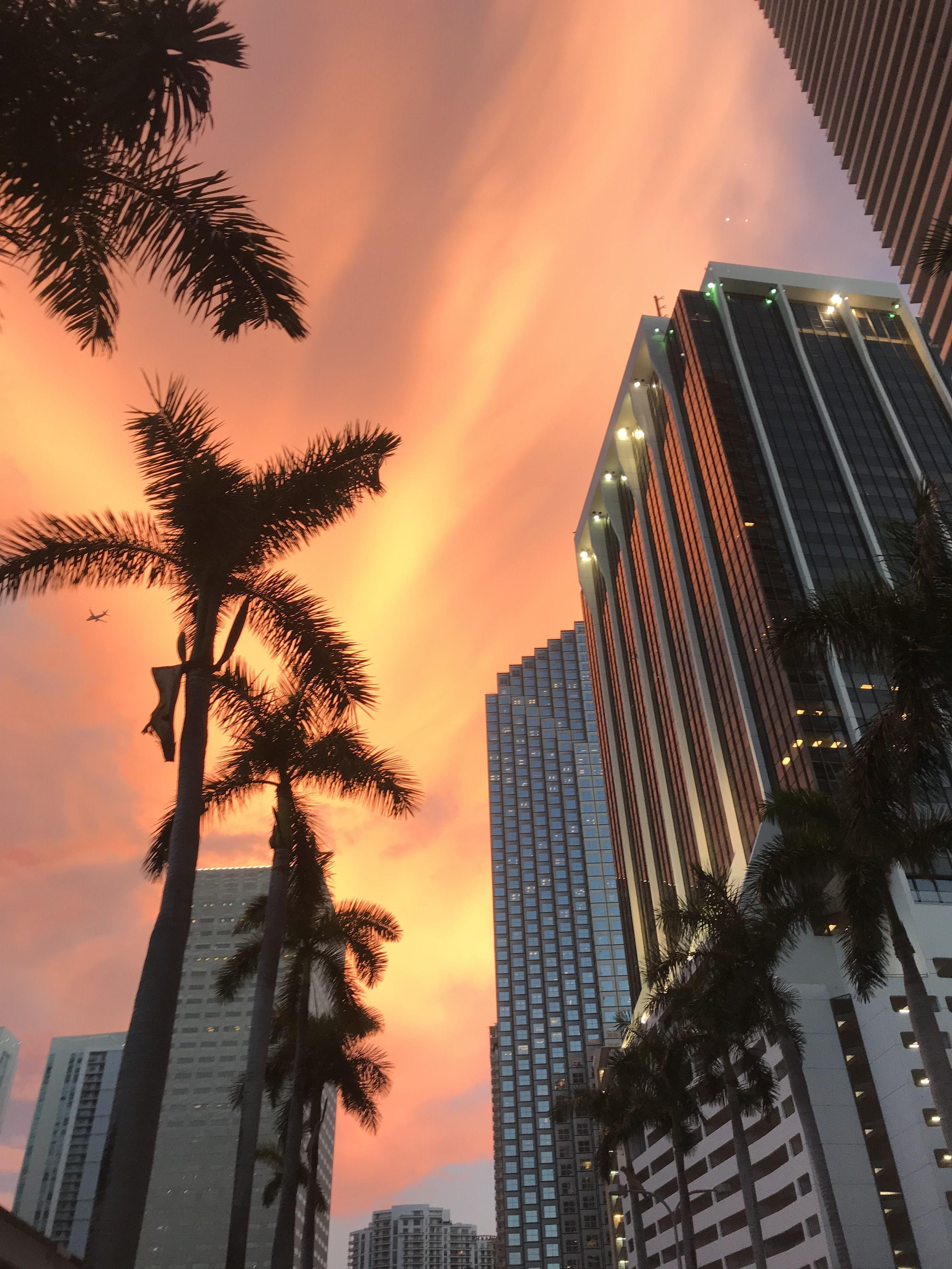 Downtown Miami Wallpapers - Top Free Downtown Miami Backgrounds ...