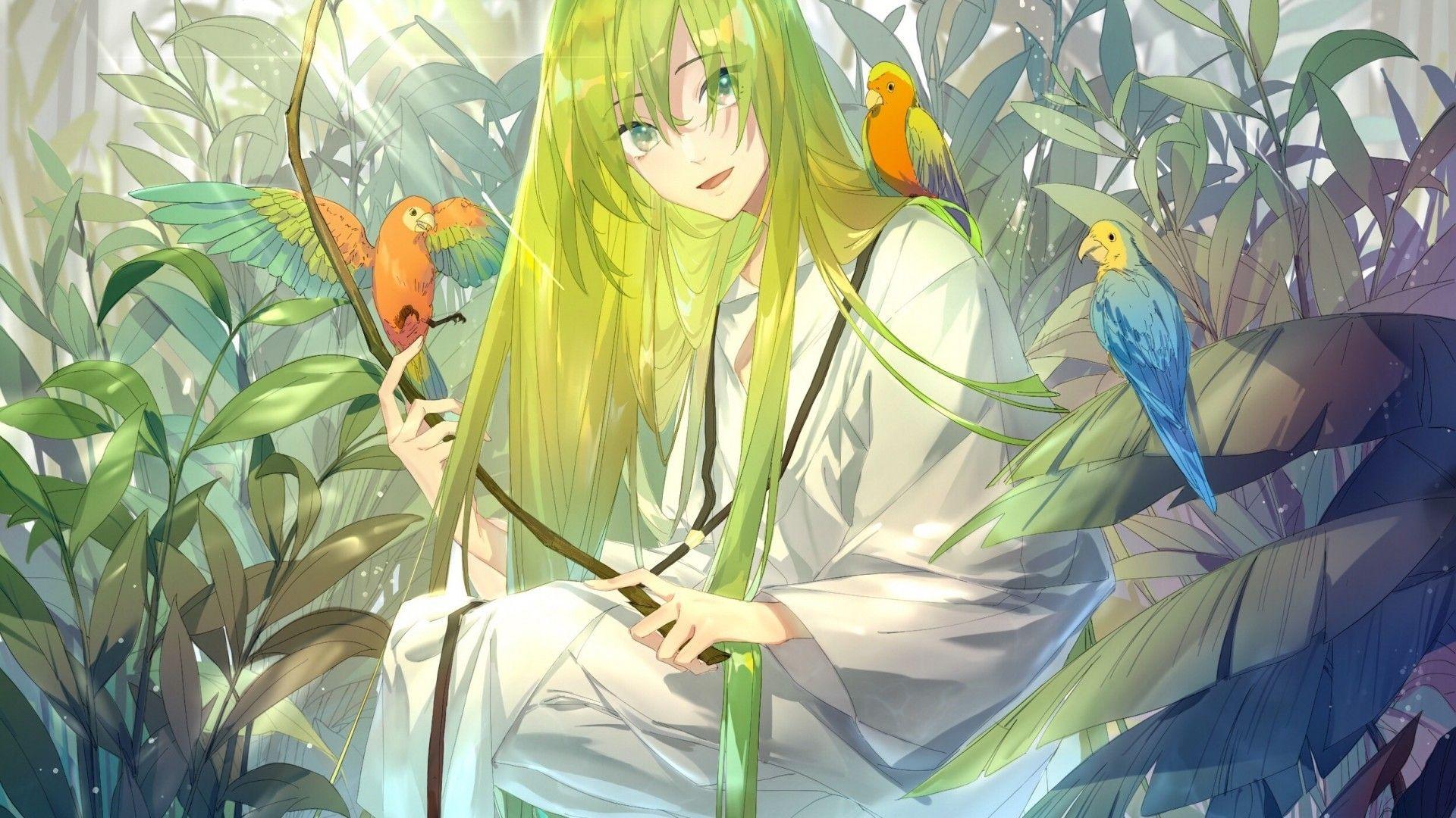 Fate Enkidu Wallpapers - Top Free Fate Enkidu Backgrounds - WallpaperAccess