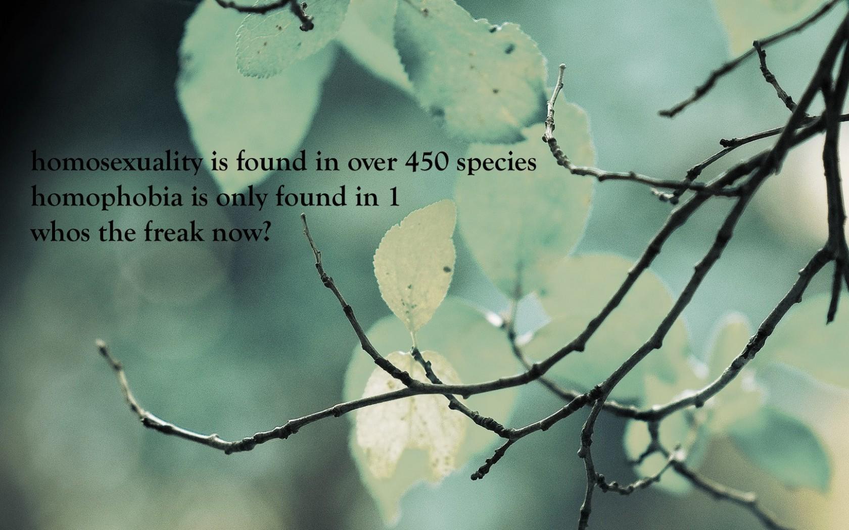 Funny Nature Wallpapers - Top Free Funny Nature Backgrounds ...