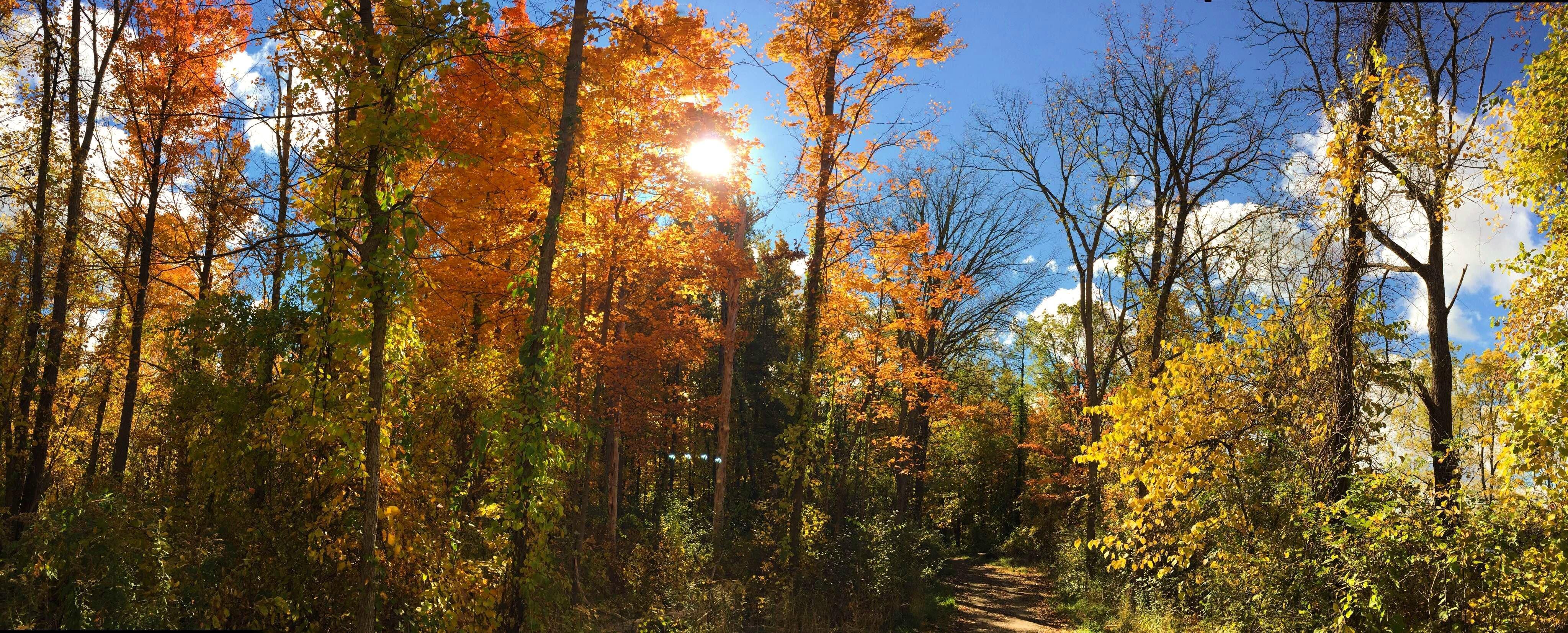 Michigan Autumn Wallpapers - Top Free Michigan Autumn Backgrounds ...