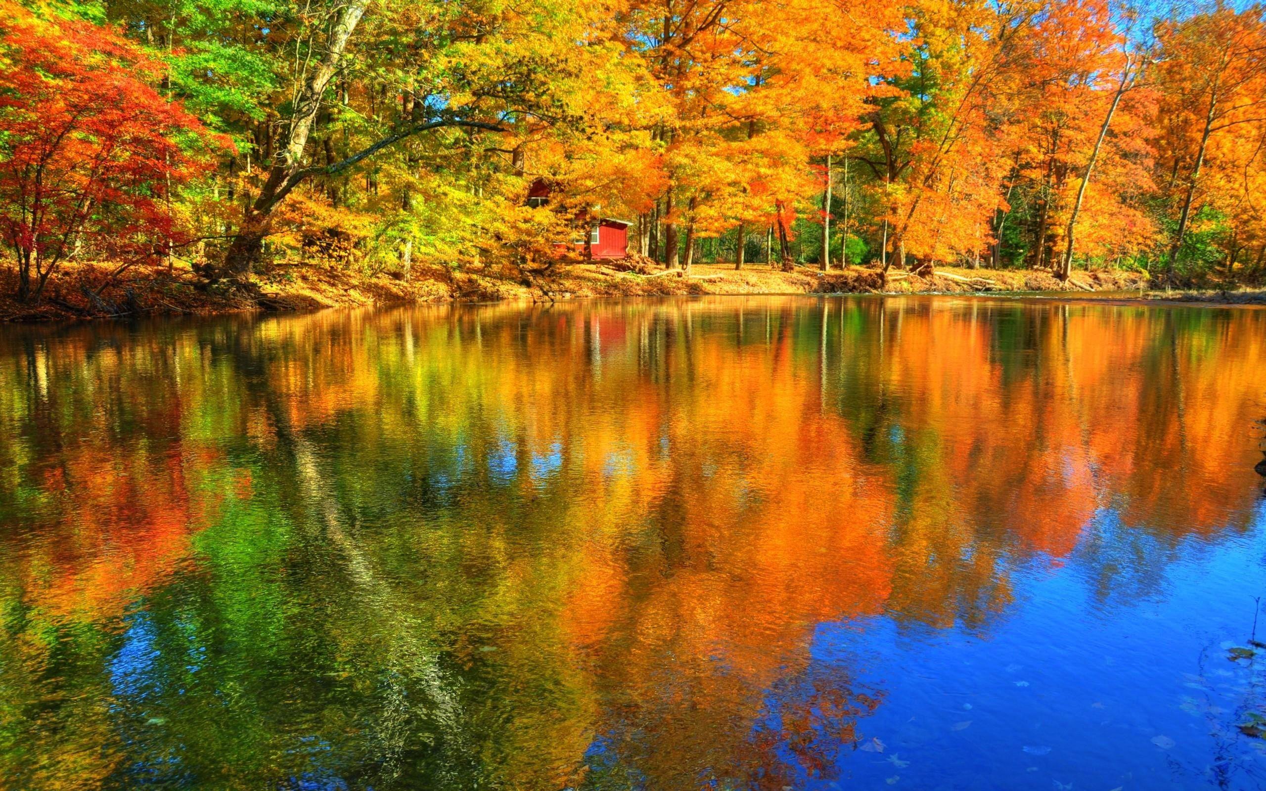 Michigan Autumn Wallpapers - Top Free Michigan Autumn Backgrounds ...