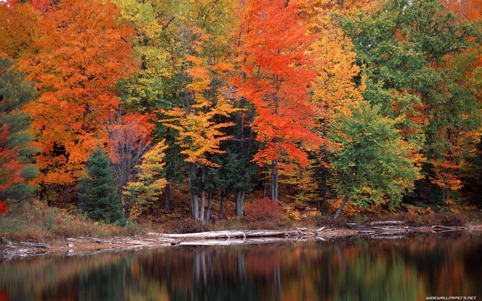 Michigan Autumn Wallpapers - Top Free Michigan Autumn Backgrounds ...