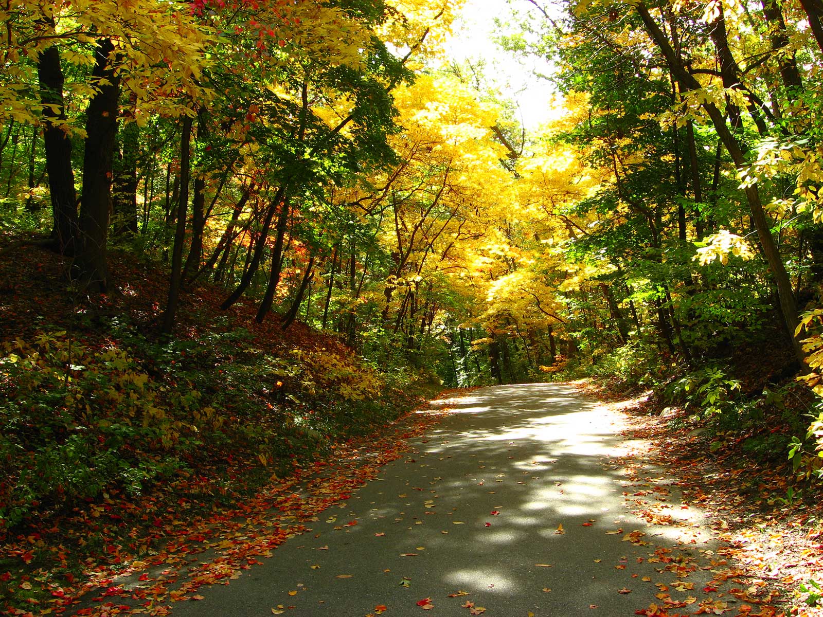 Michigan Autumn Wallpapers - Top Free Michigan Autumn Backgrounds ...