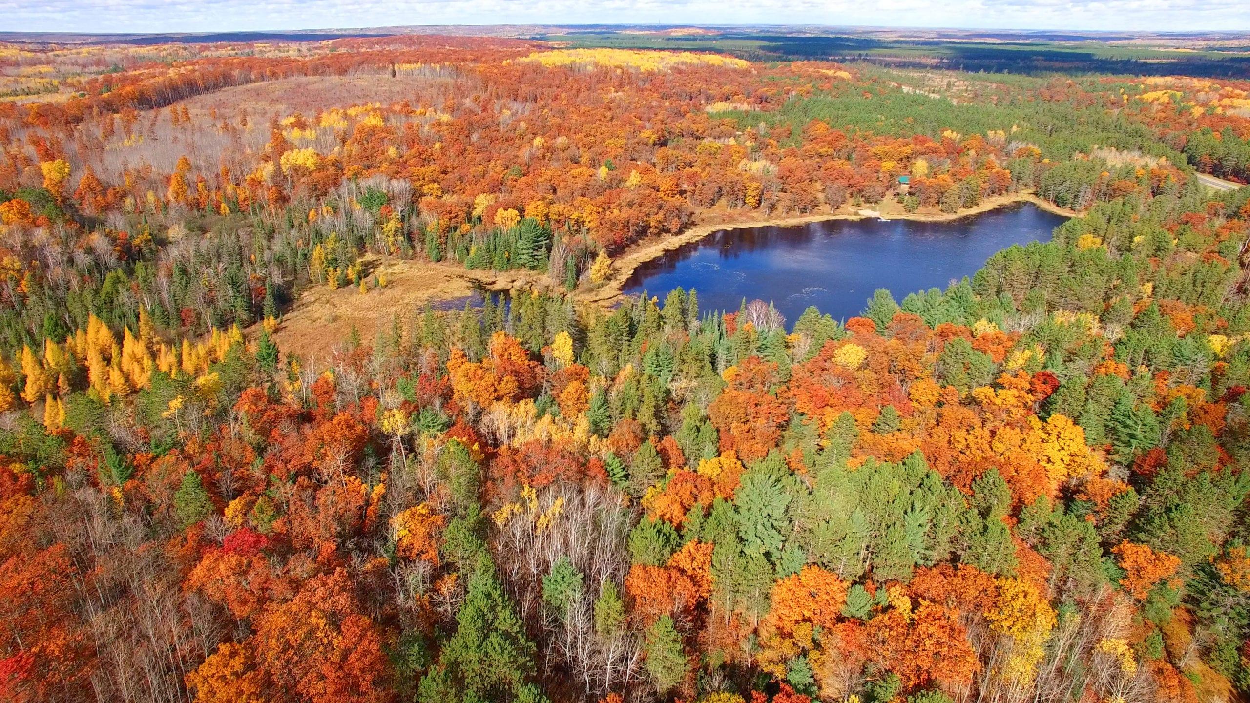 Michigan Autumn Wallpapers - Top Free Michigan Autumn Backgrounds ...