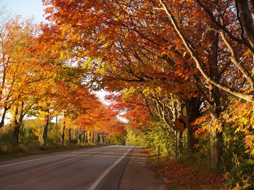 Michigan Autumn Wallpapers - Top Free Michigan Autumn Backgrounds ...