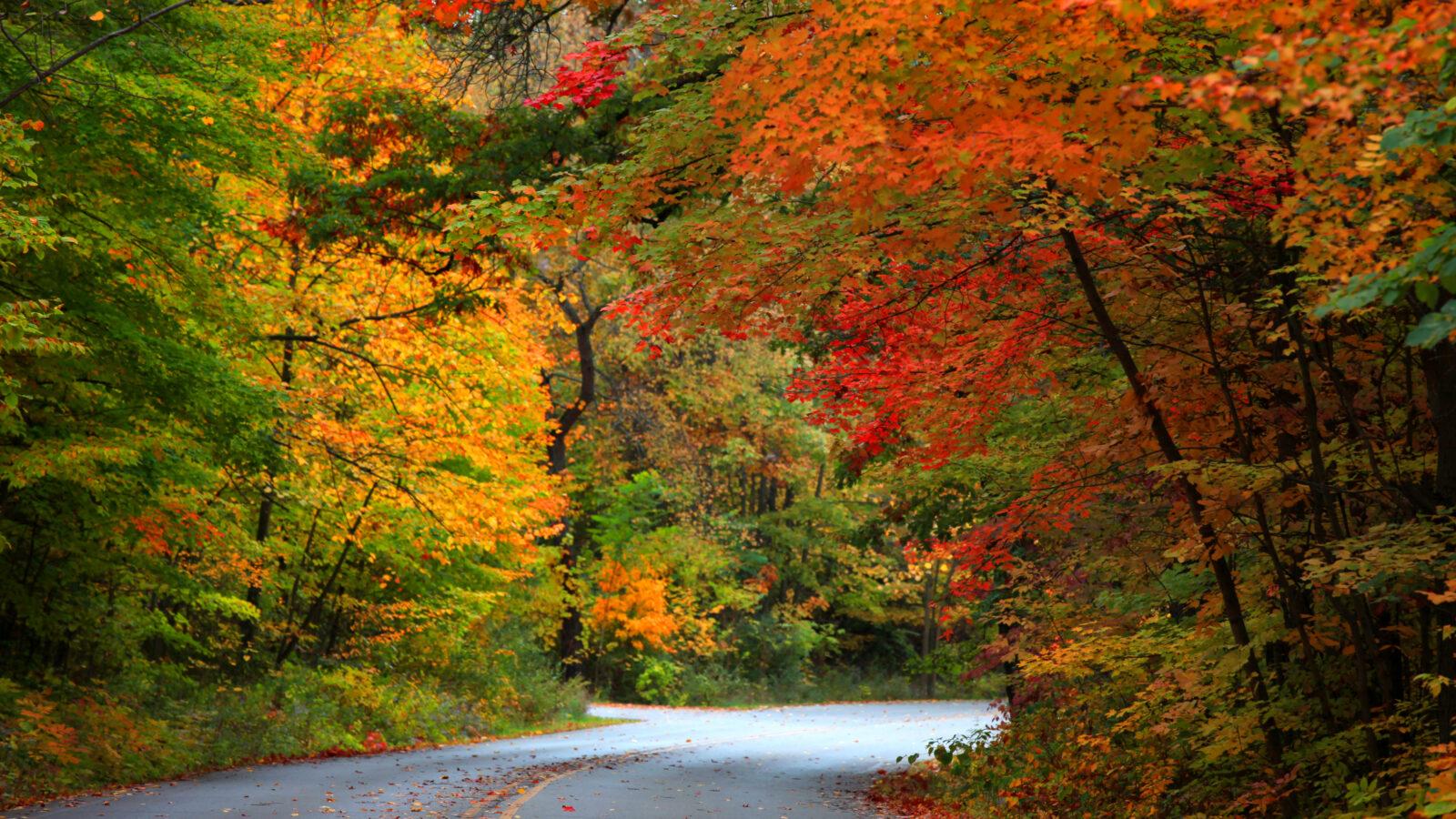 Michigan Autumn Wallpapers - Top Free Michigan Autumn Backgrounds ...
