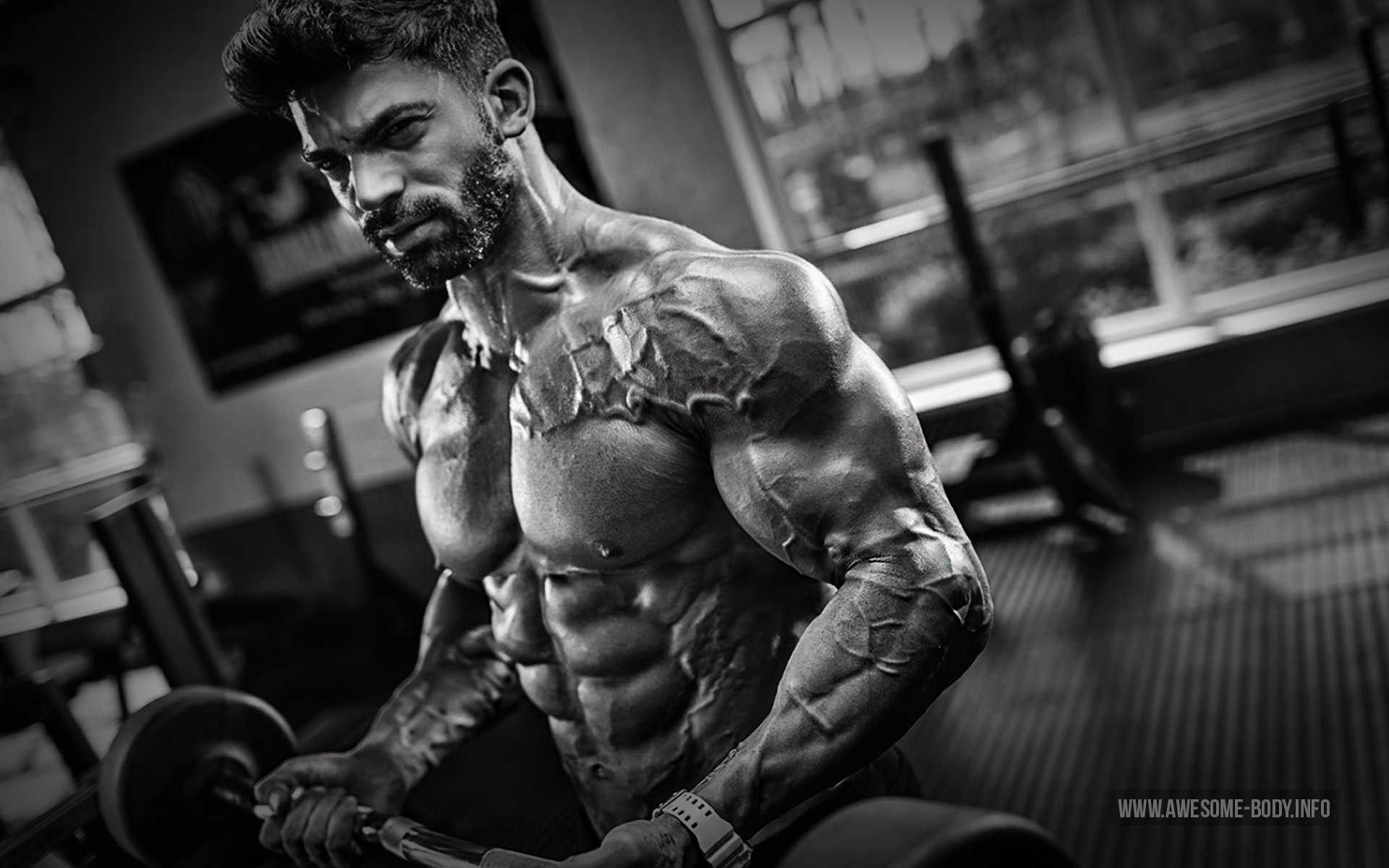 Body Building Wallpapers - Top Free Body Building Backgrounds ...