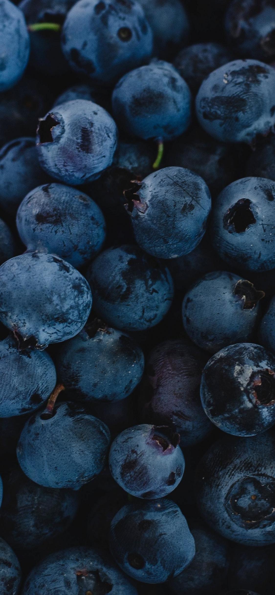 Blueberry HD Wallpapers - Top Free Blueberry HD Backgrounds ...