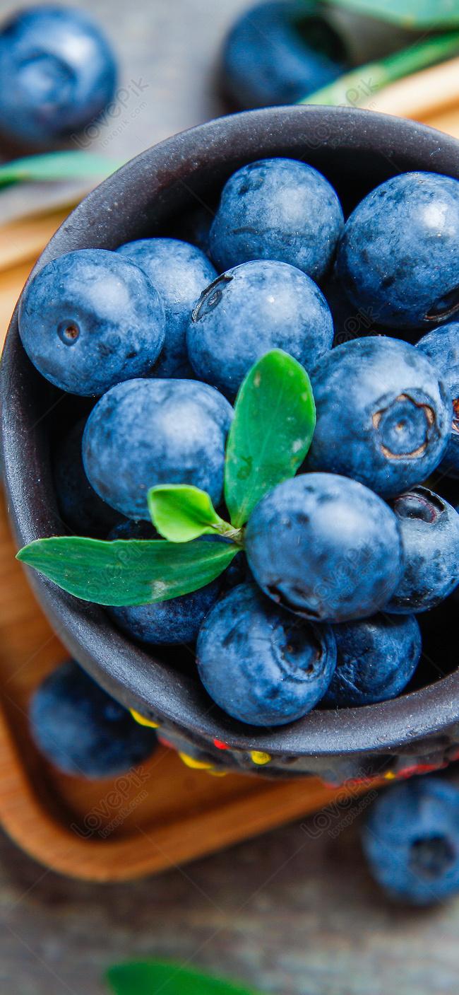 Blueberry HD Wallpapers - Top Free Blueberry HD Backgrounds ...