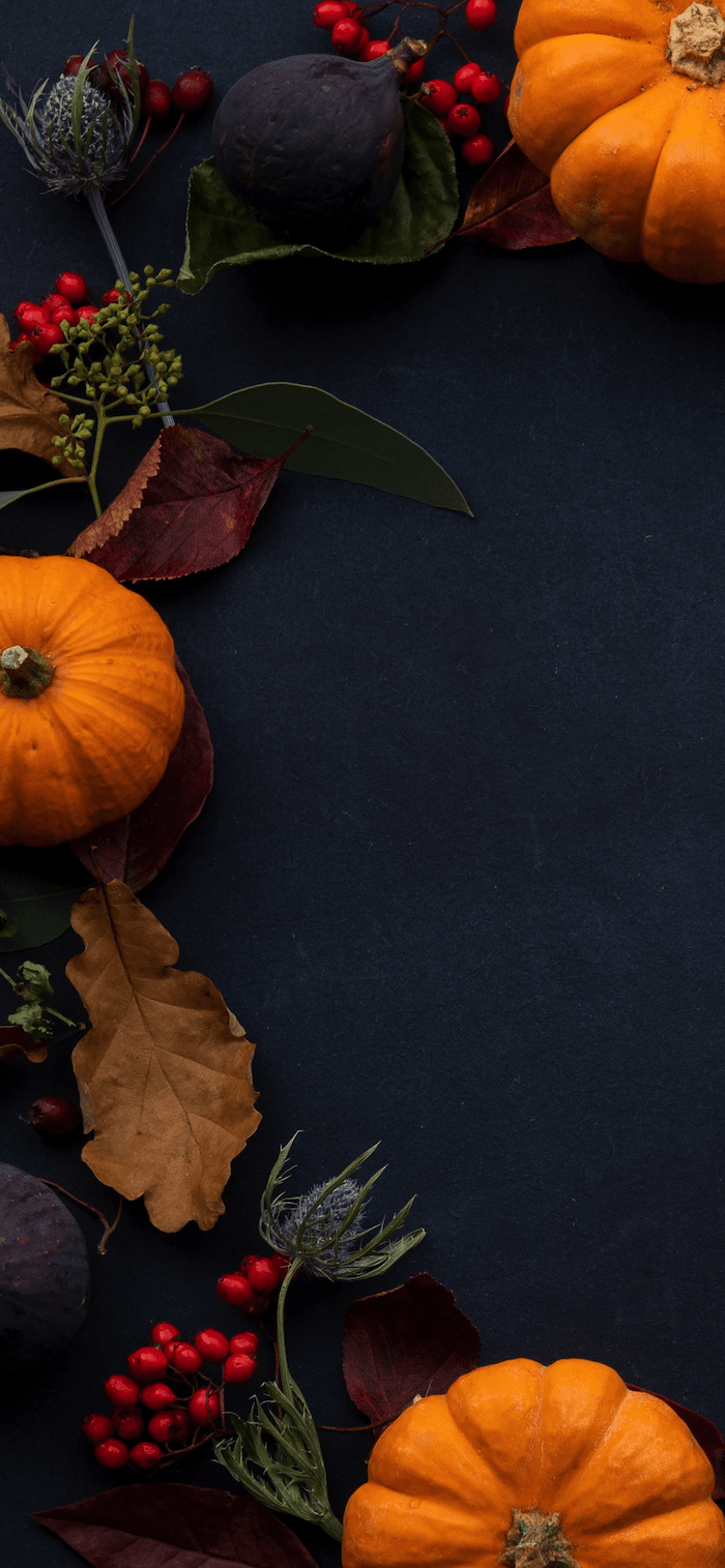 Thanksgiving Wallpapers - Top Free Thanksgiving Backgrounds ...